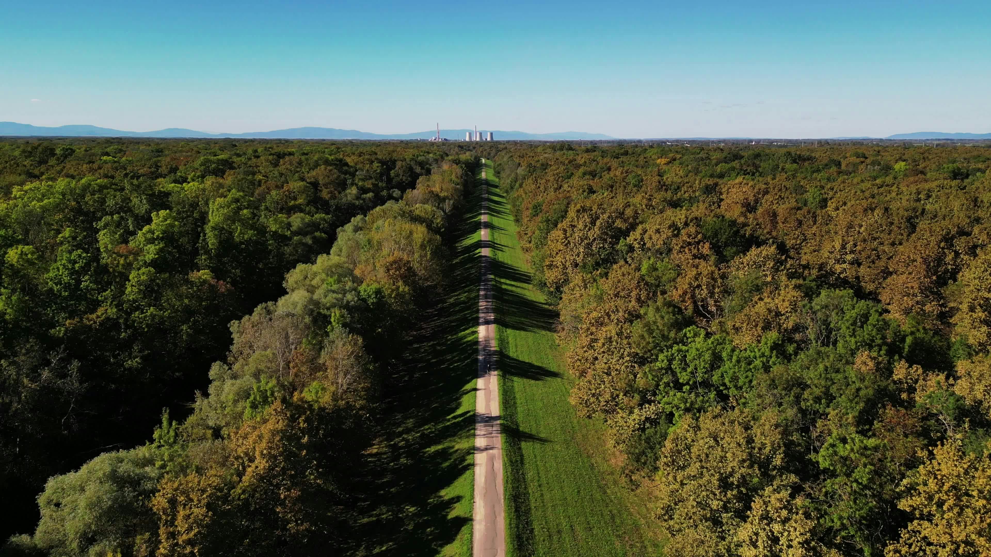 Aerial View of Forest with Distant City Skyline Free Stock Video ...