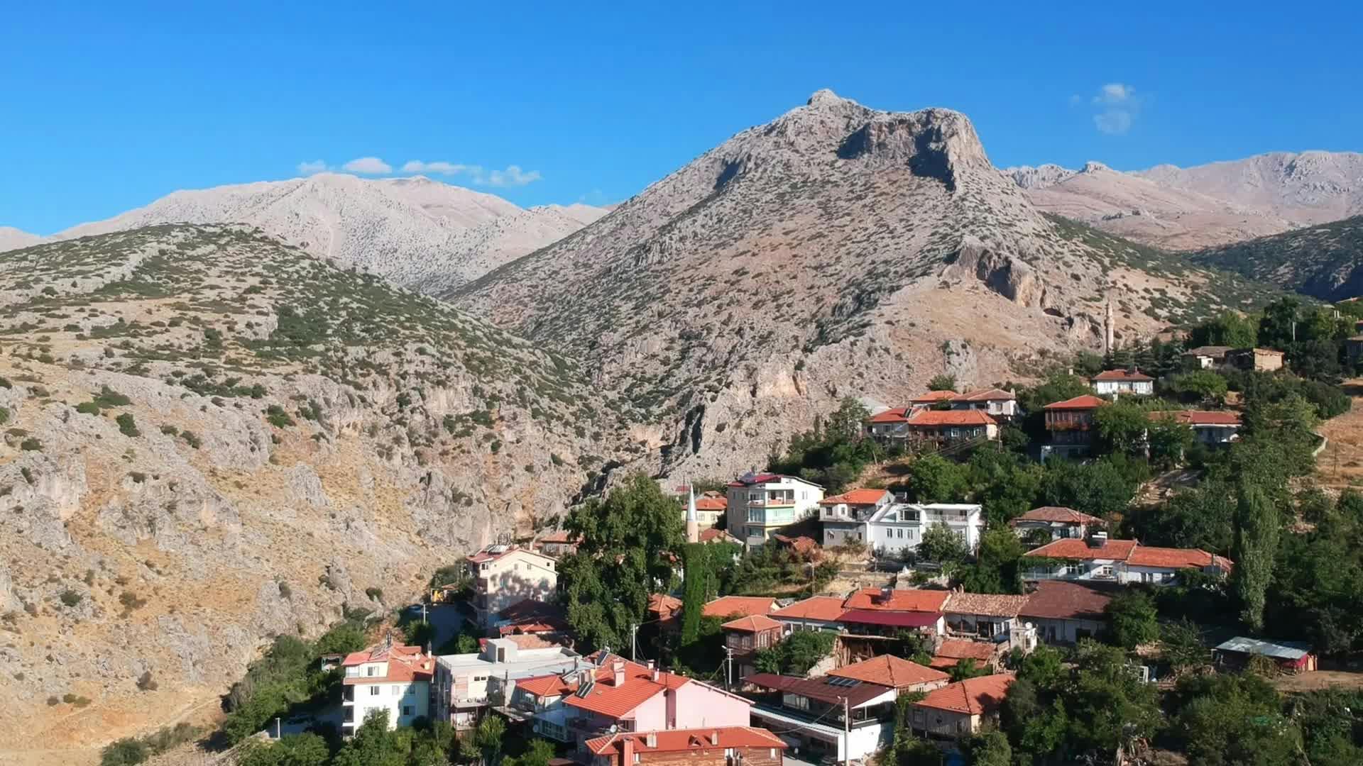 Tulip Turkey Videos, Download The BEST Free 4k Stock Video Footage ...