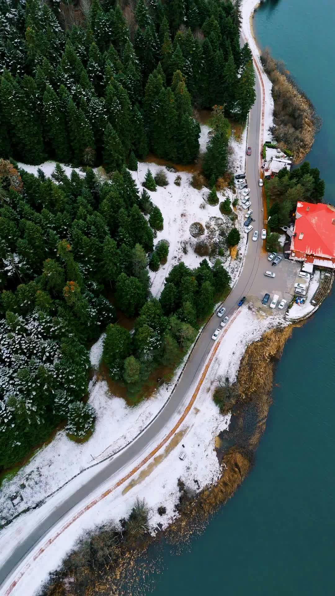 Insta Film Videos, Download The BEST Free 4k Stock Video Footage ...