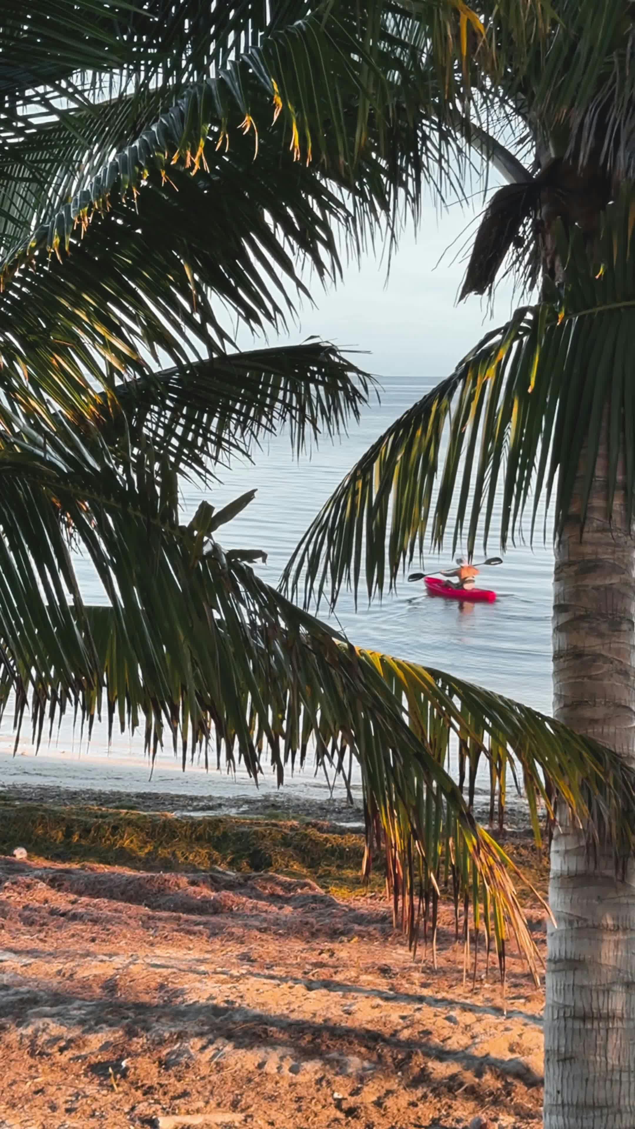 Icu Bay Videos, Download The BEST Free 4k Stock Video Footage & Icu Bay ...