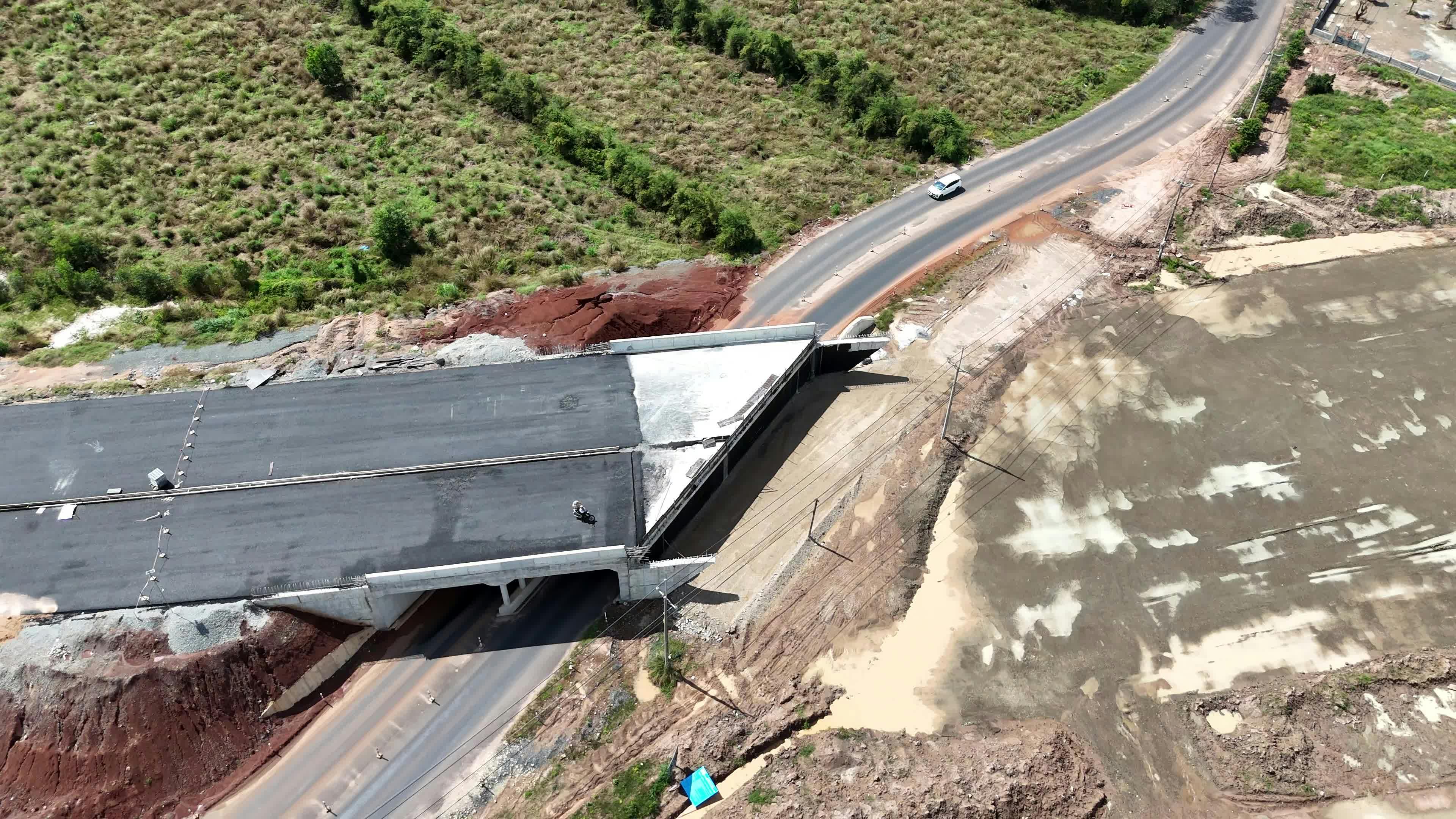 Fllower Vines Videos, Download The BEST Free 4k Stock Video Footage ...