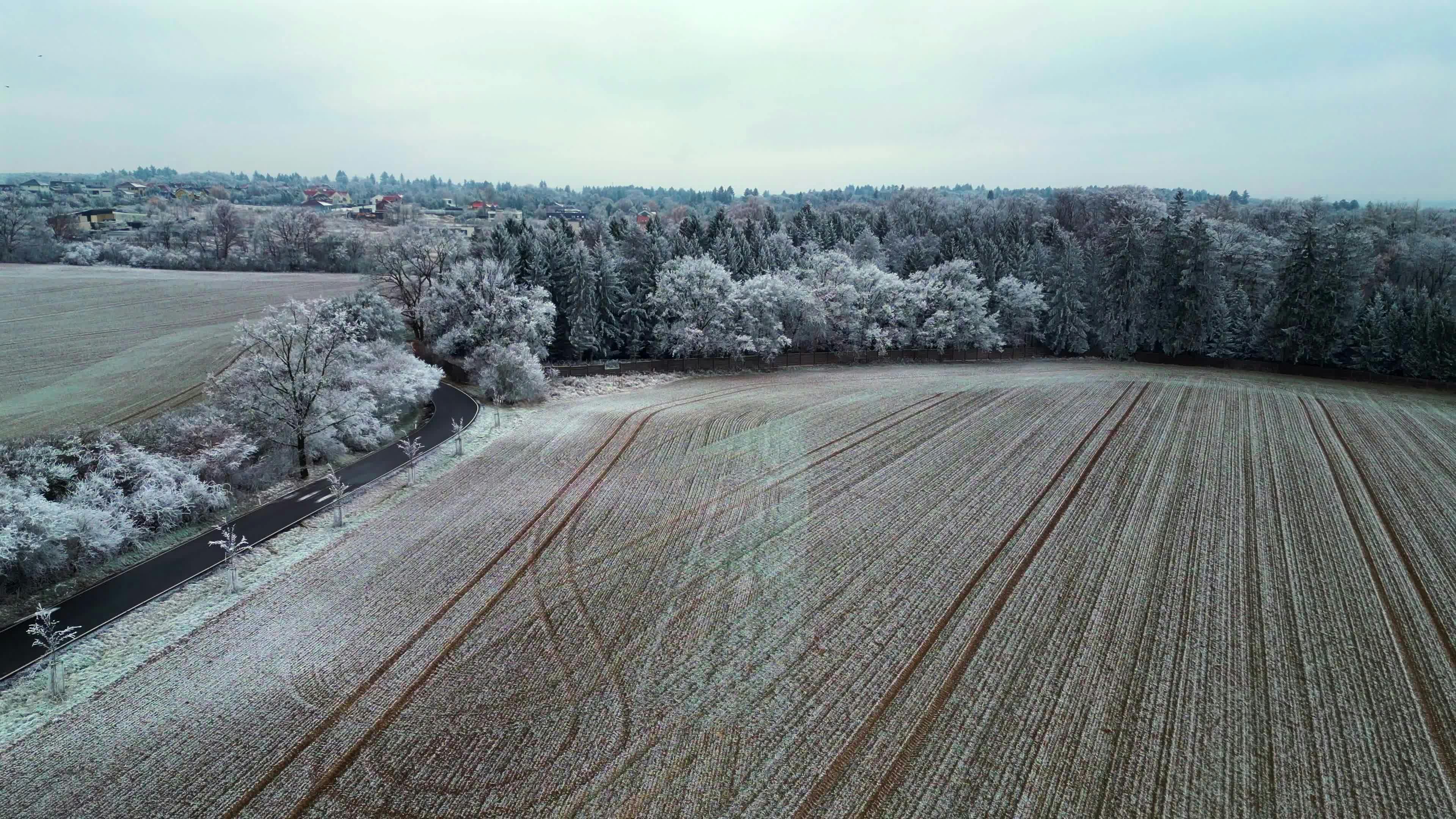 Little+White+Chicks+Big+Black+Monster+Dicks+12 Videos, Download The ...