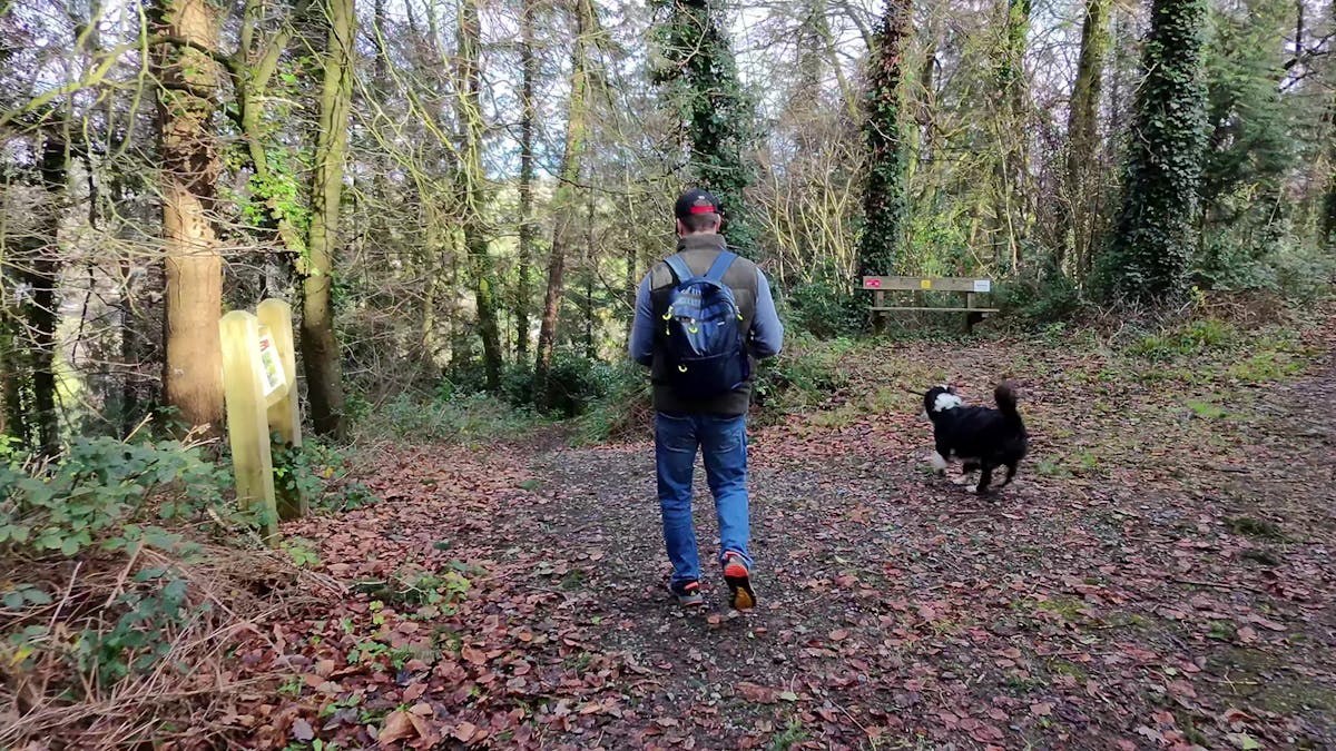 Log Footage Videos, Download The BEST Free 4k Stock Video Footage & Log ...