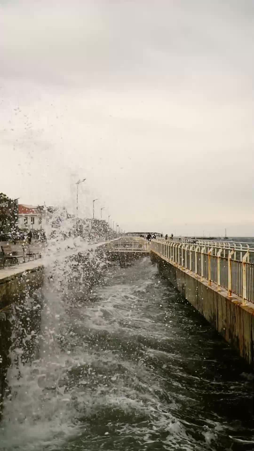 Rain Walpapers Videos, Download The BEST Free 4k Stock Video Footage ...