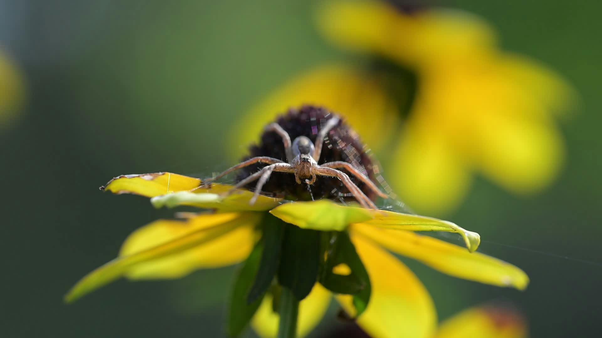 Detail Texture Videos, Download The BEST Free 4k Stock Video Footage ...