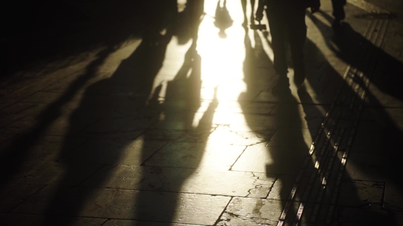 Shadows In Motion Videos, Download The BEST Free 4k Stock Video Footage ...