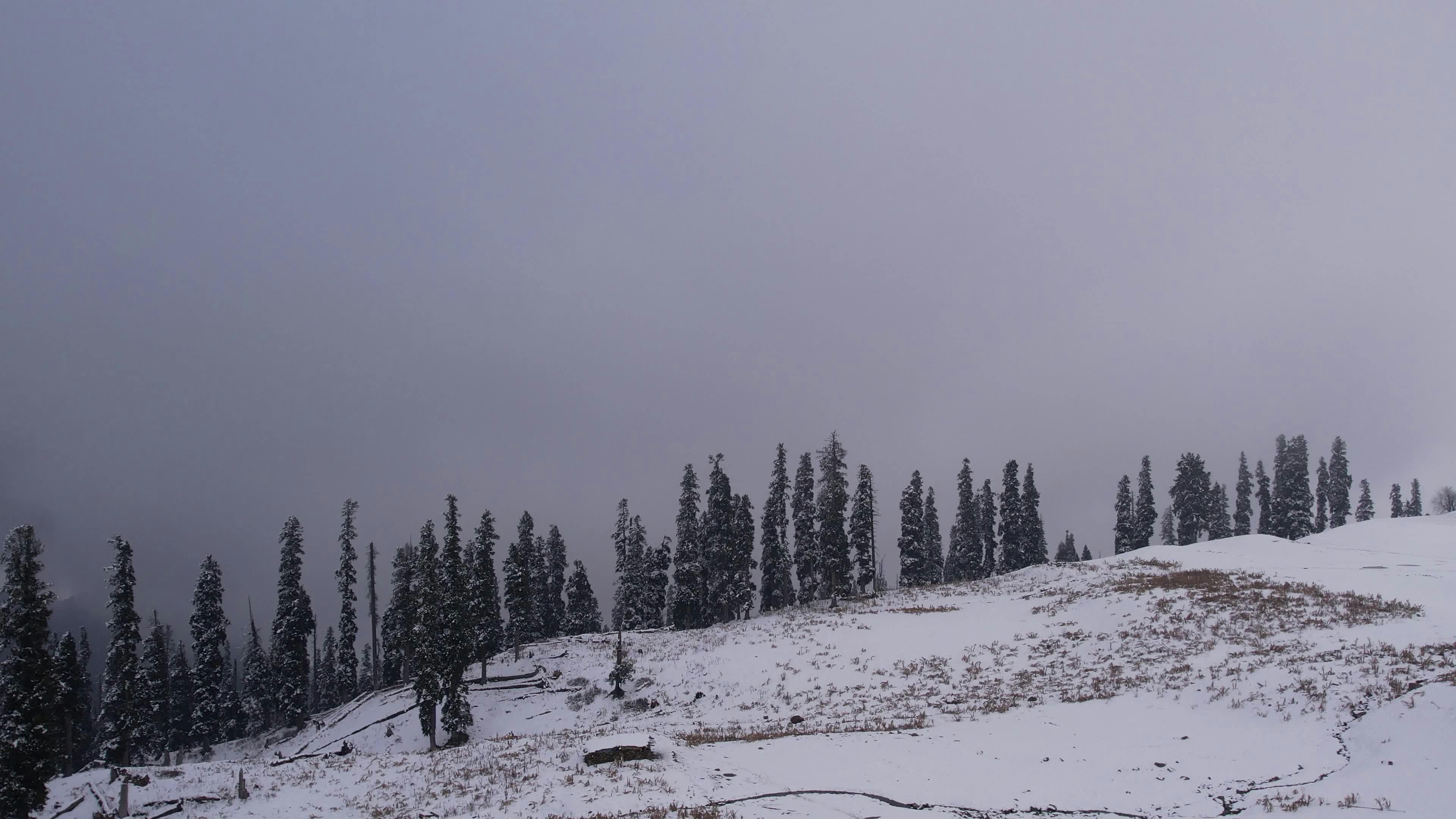 Snow Falling Down Free Stock Video Footage, Royalty-Free 4K & HD Video Clip