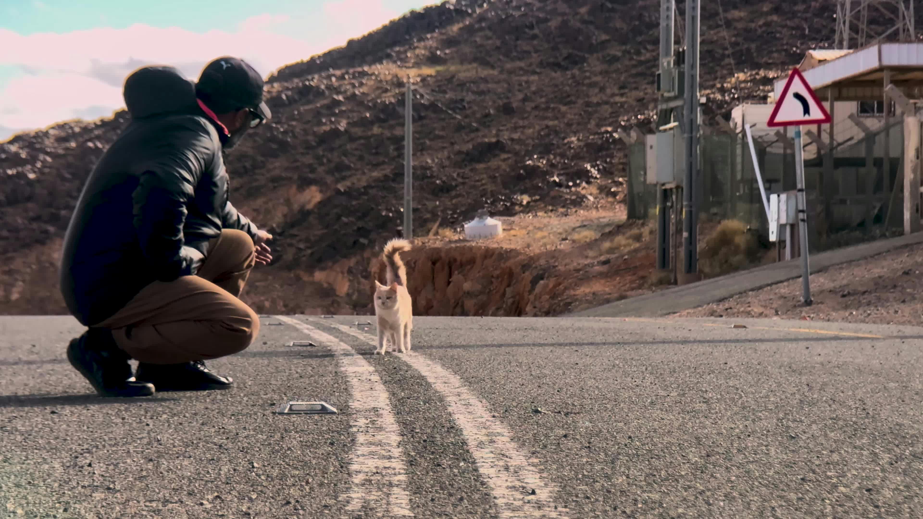 Man Pooping Videos, Download The BEST Free 4k Stock Video Footage & Man ...