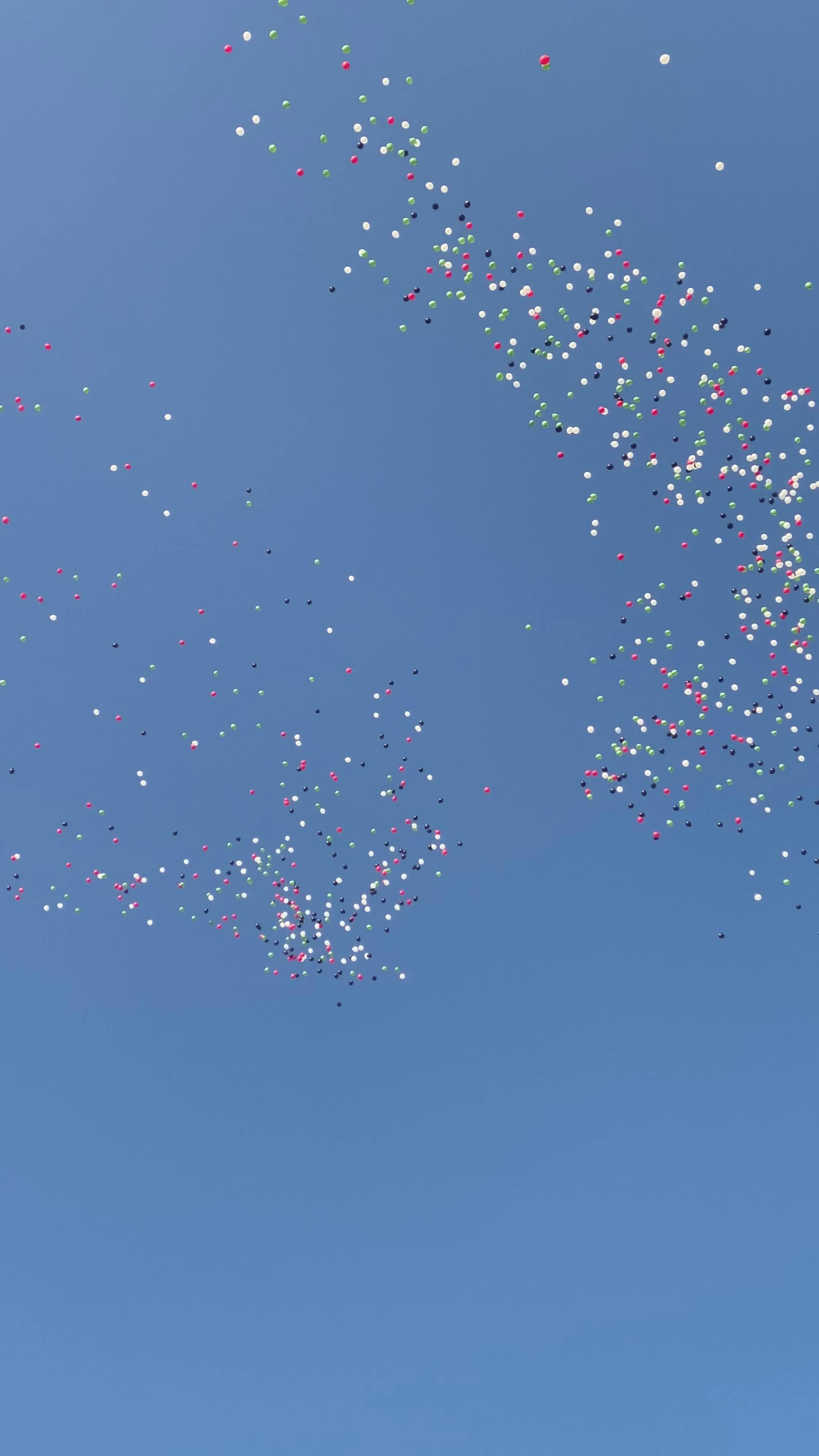 Colorful Balloons Floating in a Blue Sky Free Stock Video Footage ...