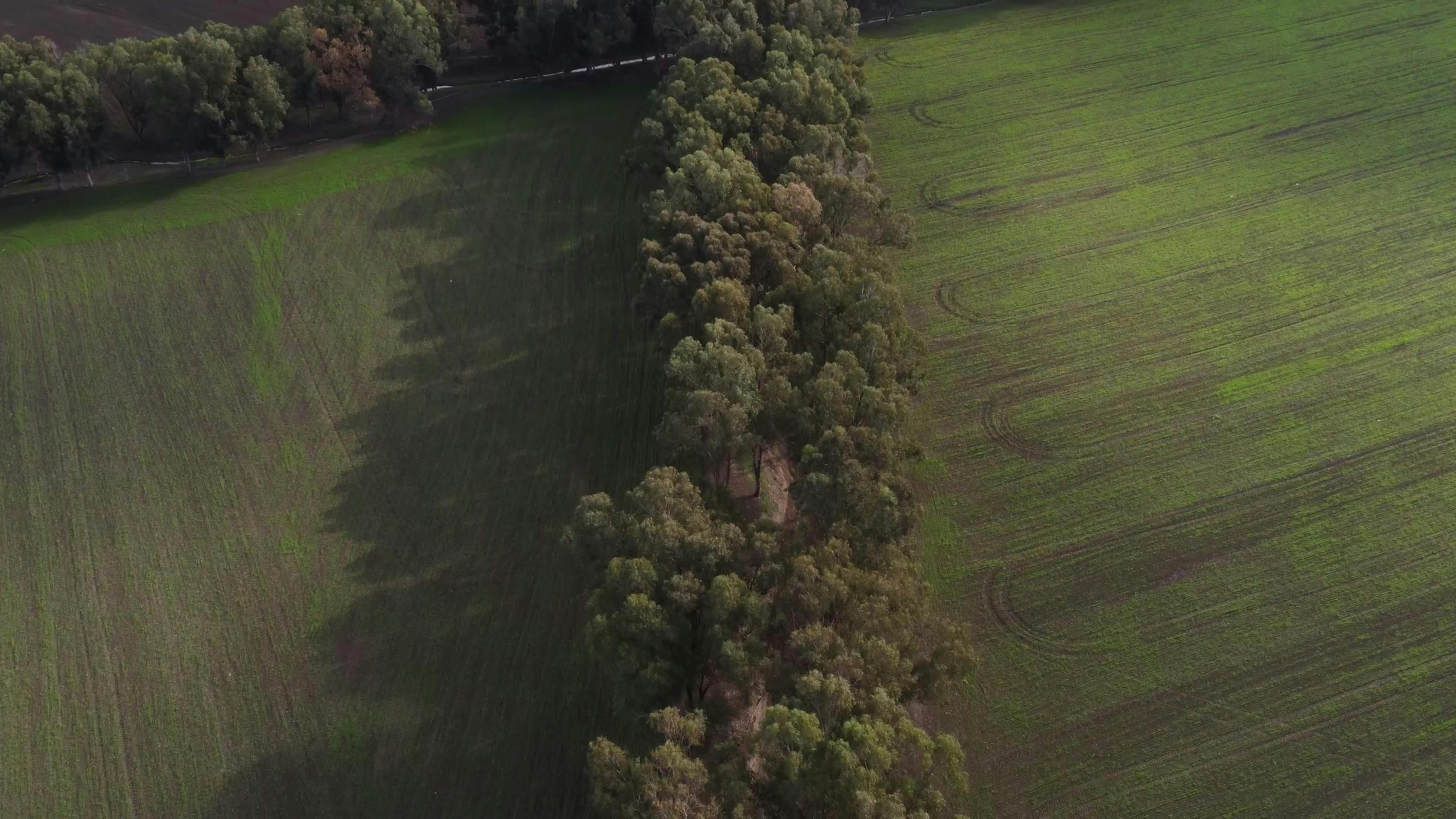Aerial View of Verdant Fields and Tree Line Free Stock Video Footage ...