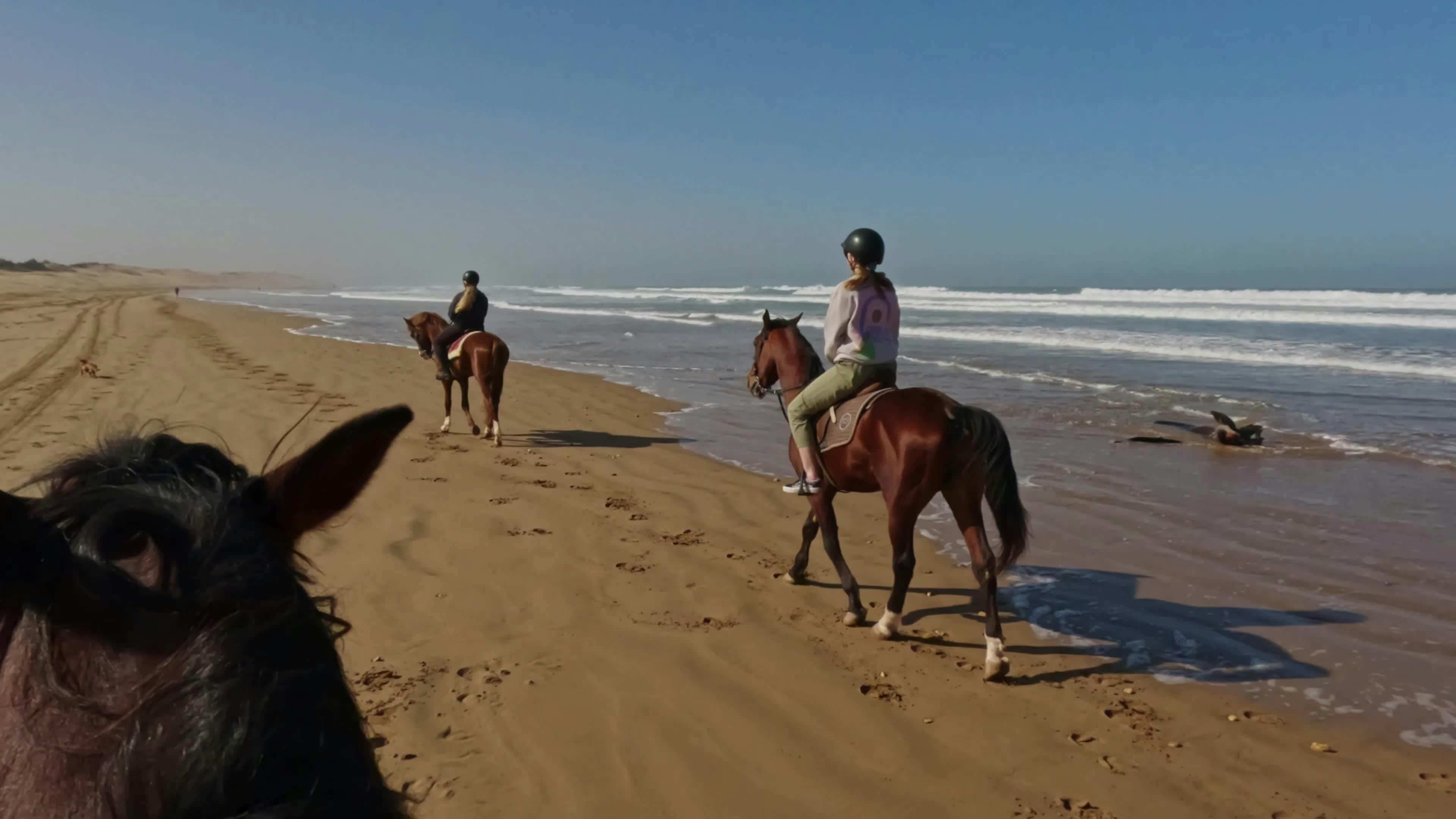 Beach Horse Riding Adventure Along Shoreline Free Stock Video Footage ...