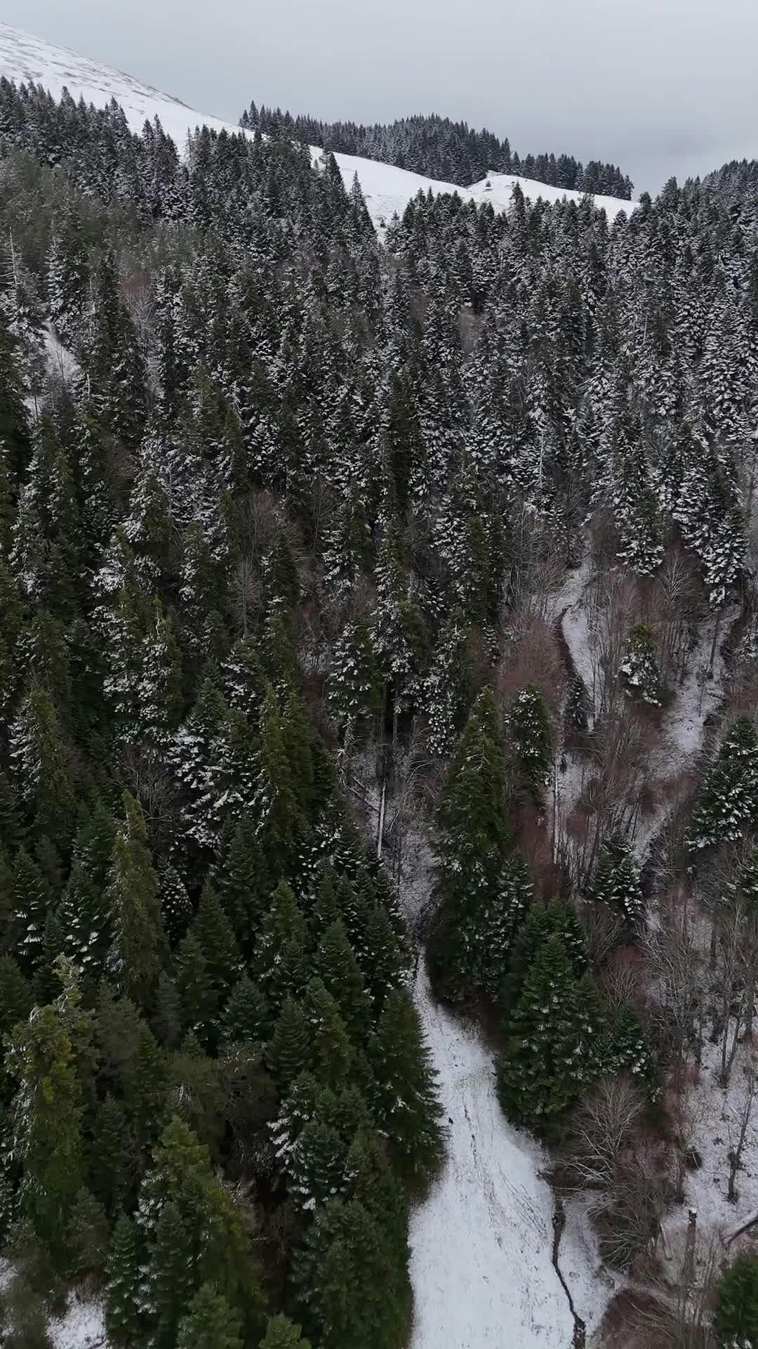 Appreciably Videos, Download The BEST Free 4k Stock Video Footage ...