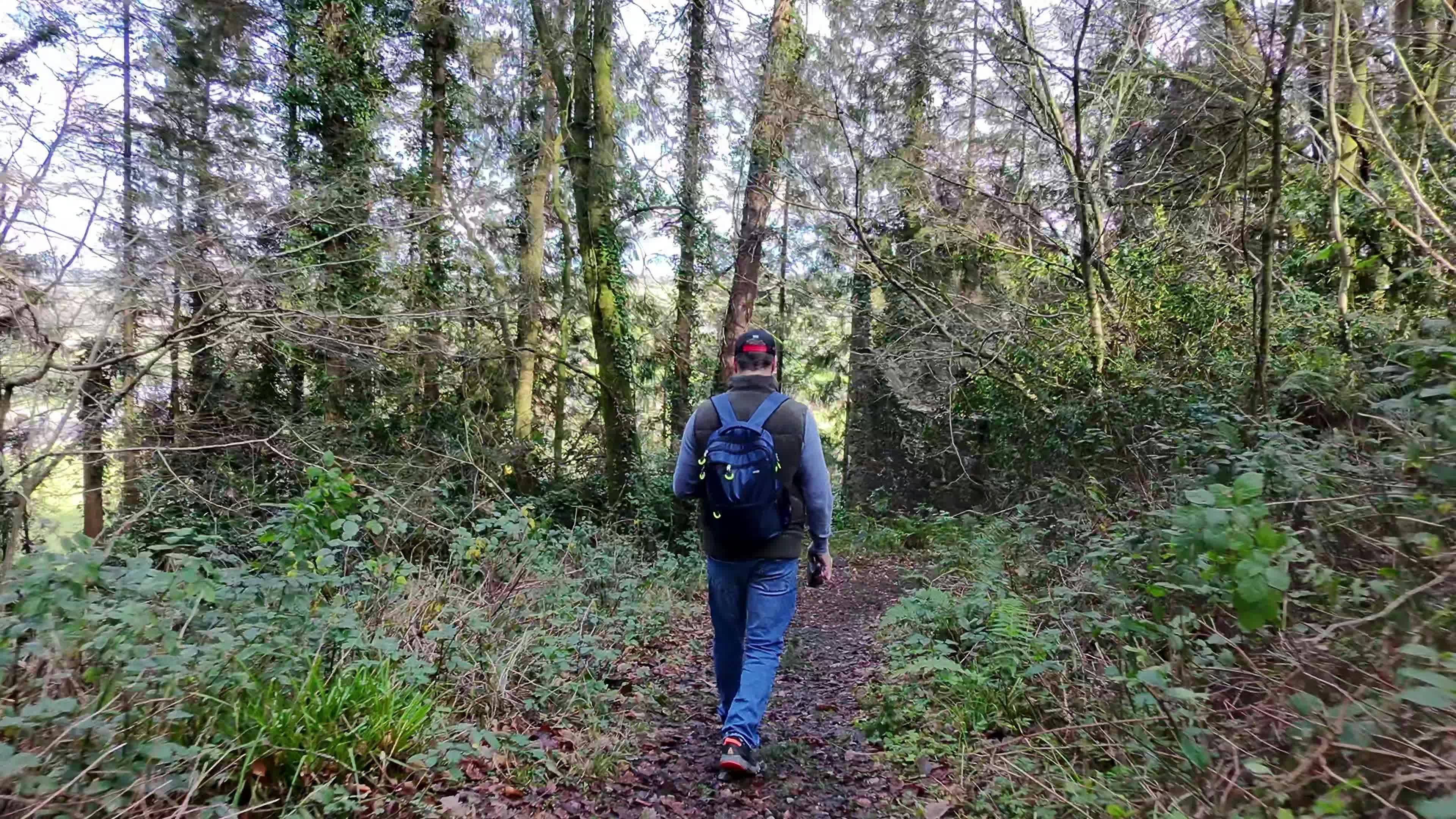 Hiking In Forest Videos, Download The BEST Free 4k Stock Video Footage ...