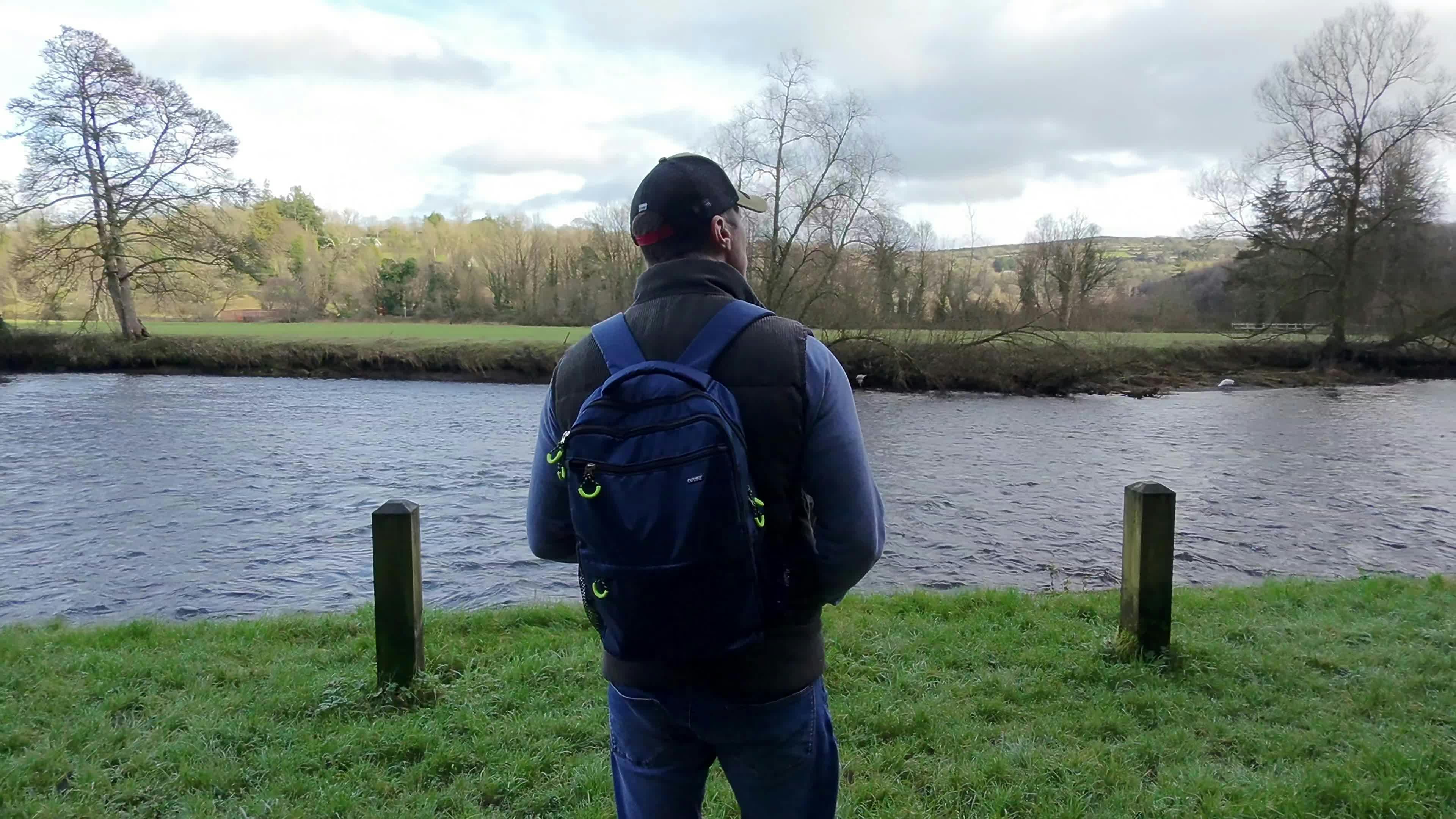 Scenic Nature Walk with Dog in Ireland Free Stock Video Footage ...