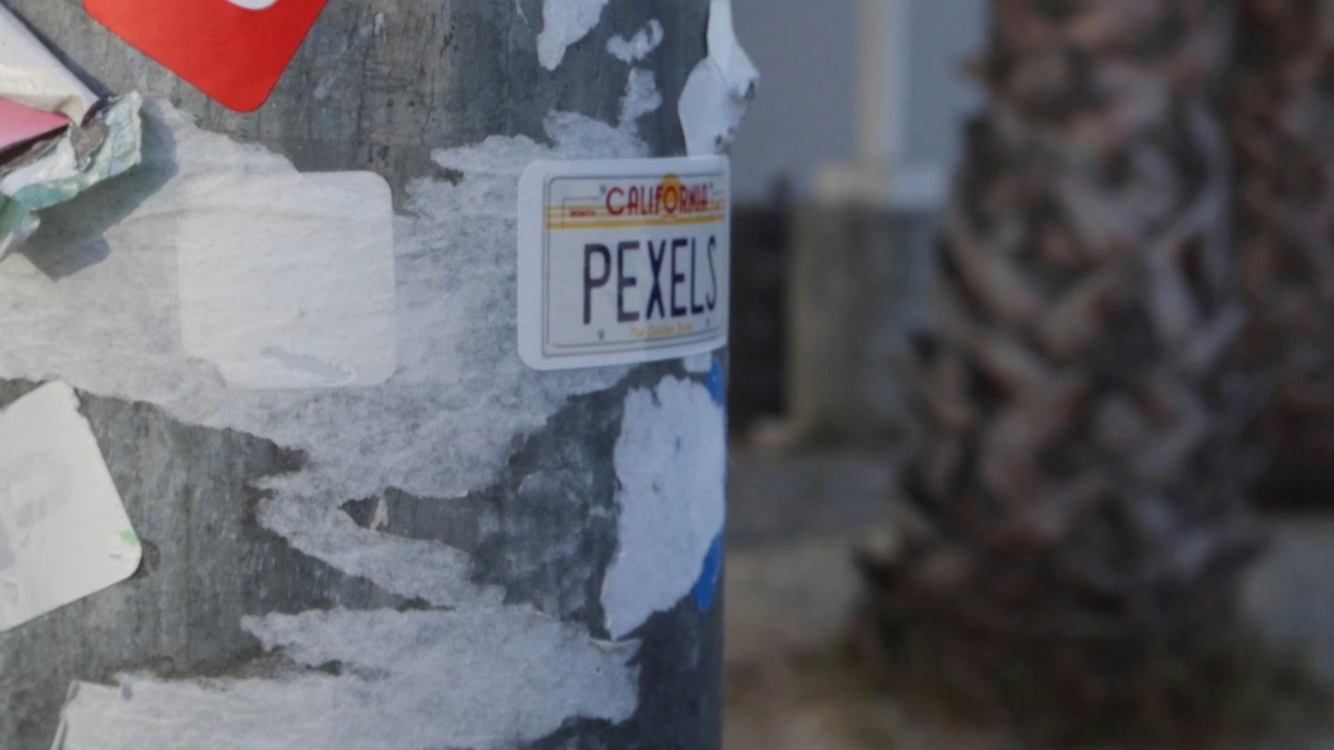 Symbol Logos Videos, Download The BEST Free 4k Stock Video Footage ...