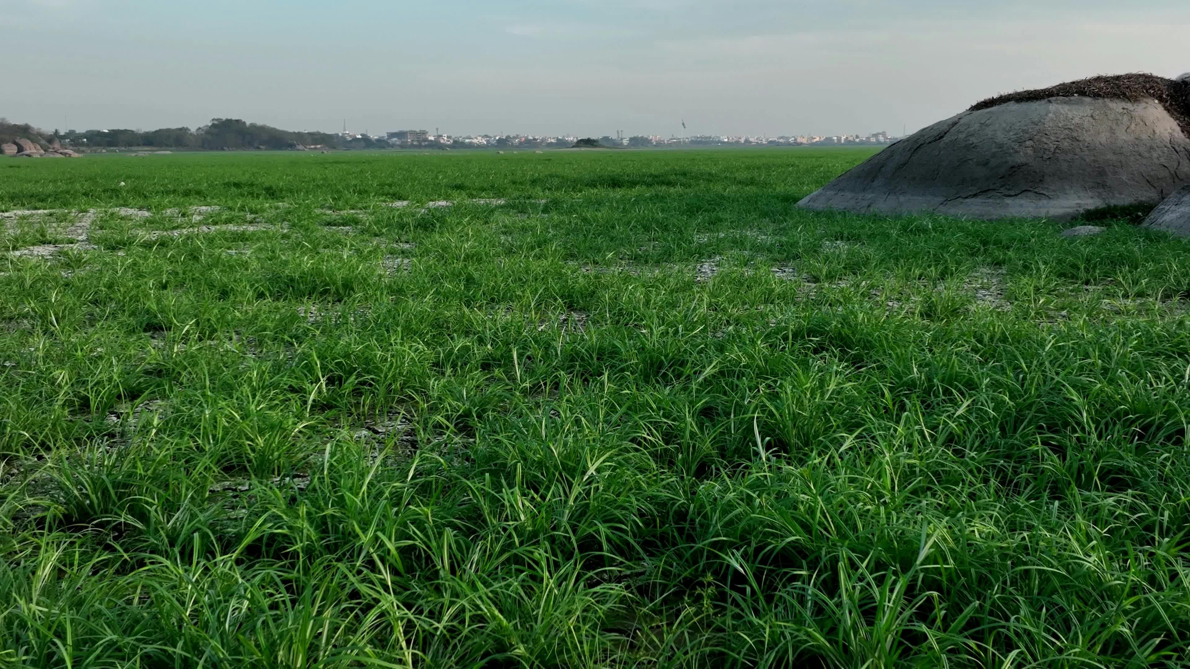 16k Video Videos, Download The BEST Free 4k Stock Video Footage & 16k ...