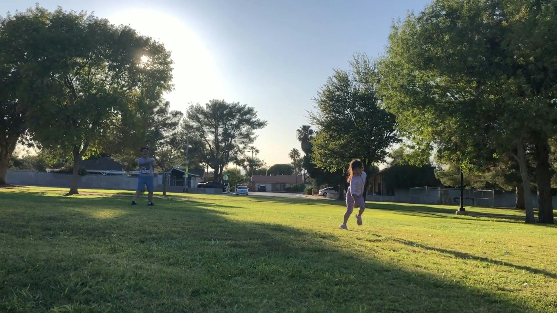 Frisbee Videos, Download The BEST Free 4k Stock Video Footage & Frisbee ...