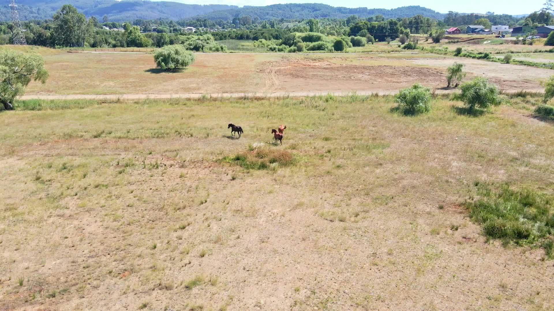 Ranch Landskap Videos, Download The BEST Free 4k Stock Video Footage ...