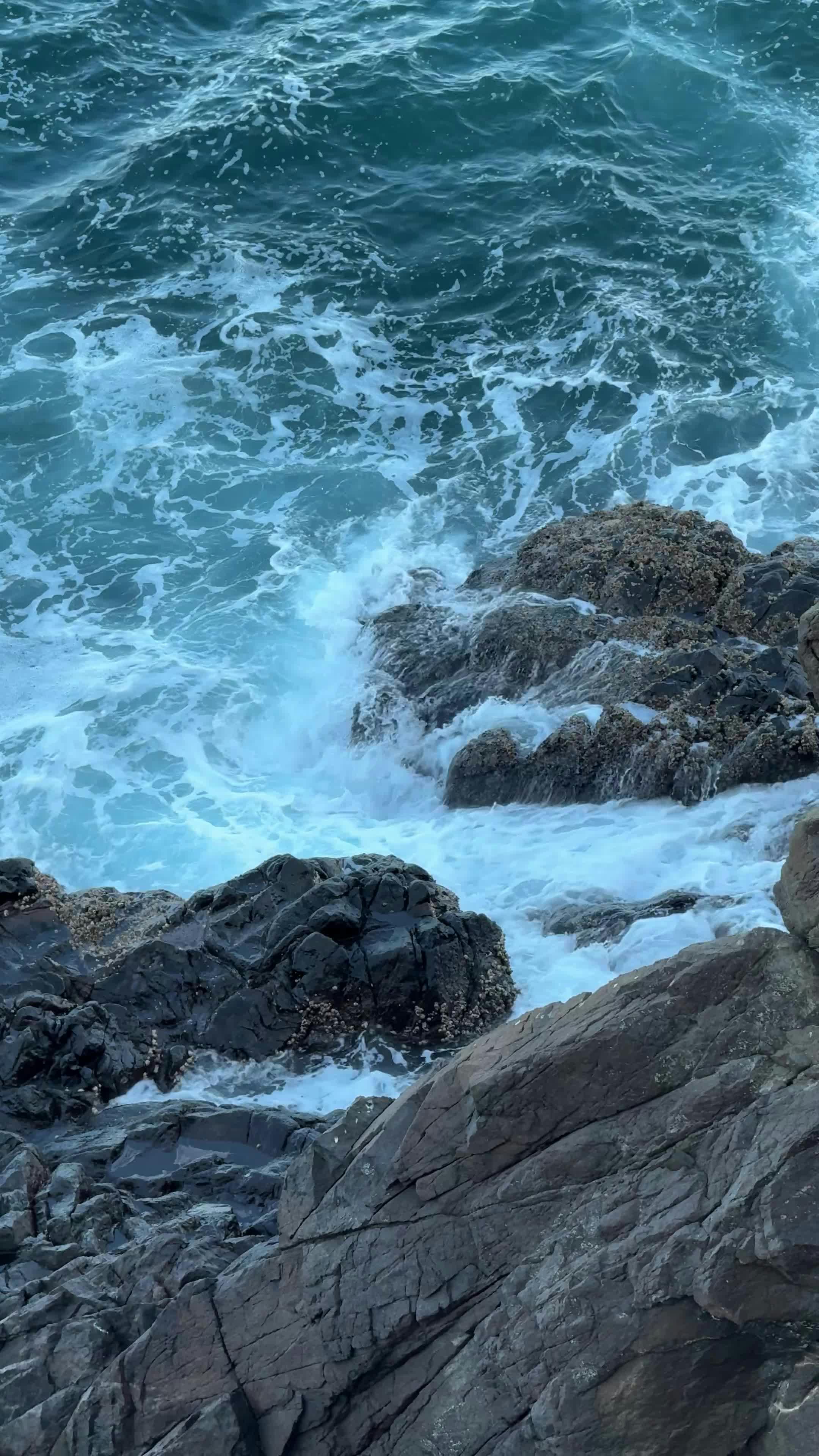 Wave Videos Videos, Download The BEST Free 4k Stock Video Footage ...