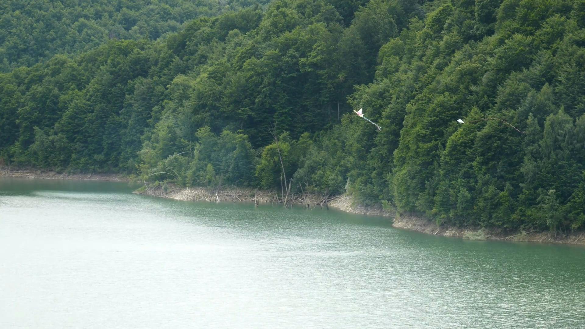 Mountain River Videos, Download The BEST Free 4k Stock Video Footage ...