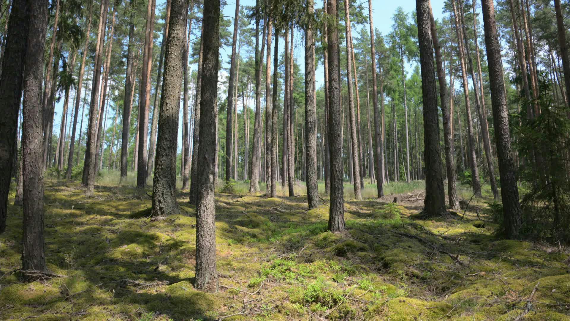 Meditating Outdoor Videos, Download The BEST Free 4k Stock Video ...