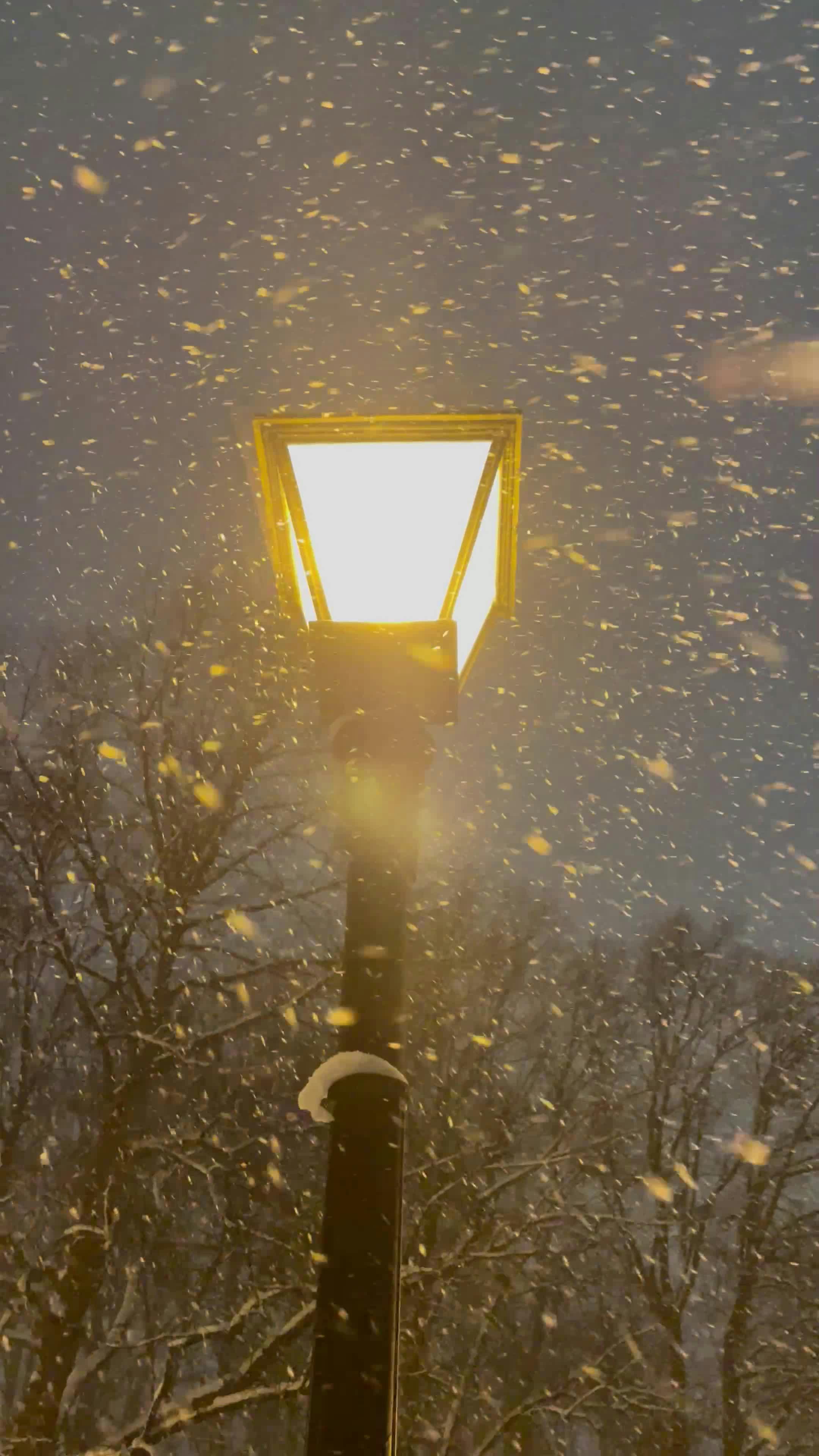 Cozy Winter Night Under Streetlight Free Stock Video Footage, Royalty ...