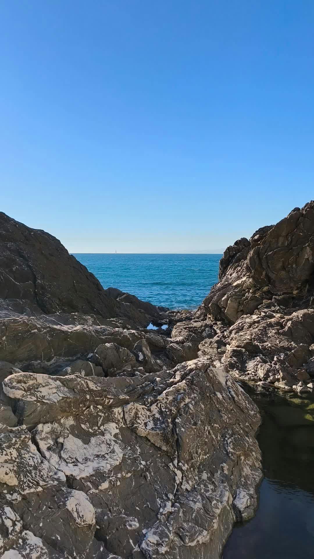 Oceans Wallpaper Videos, Download The BEST Free 4k Stock Video Footage ...