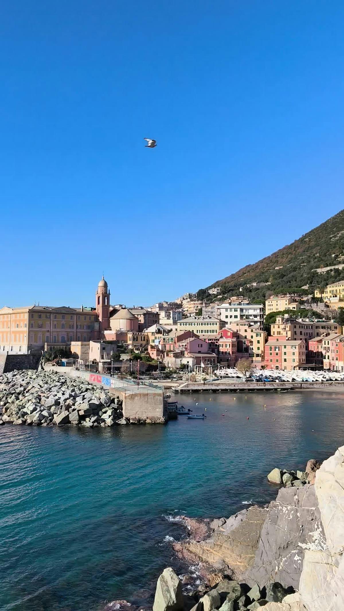 Screen Saver Videos, Download The BEST Free 4k Stock Video Footage ...