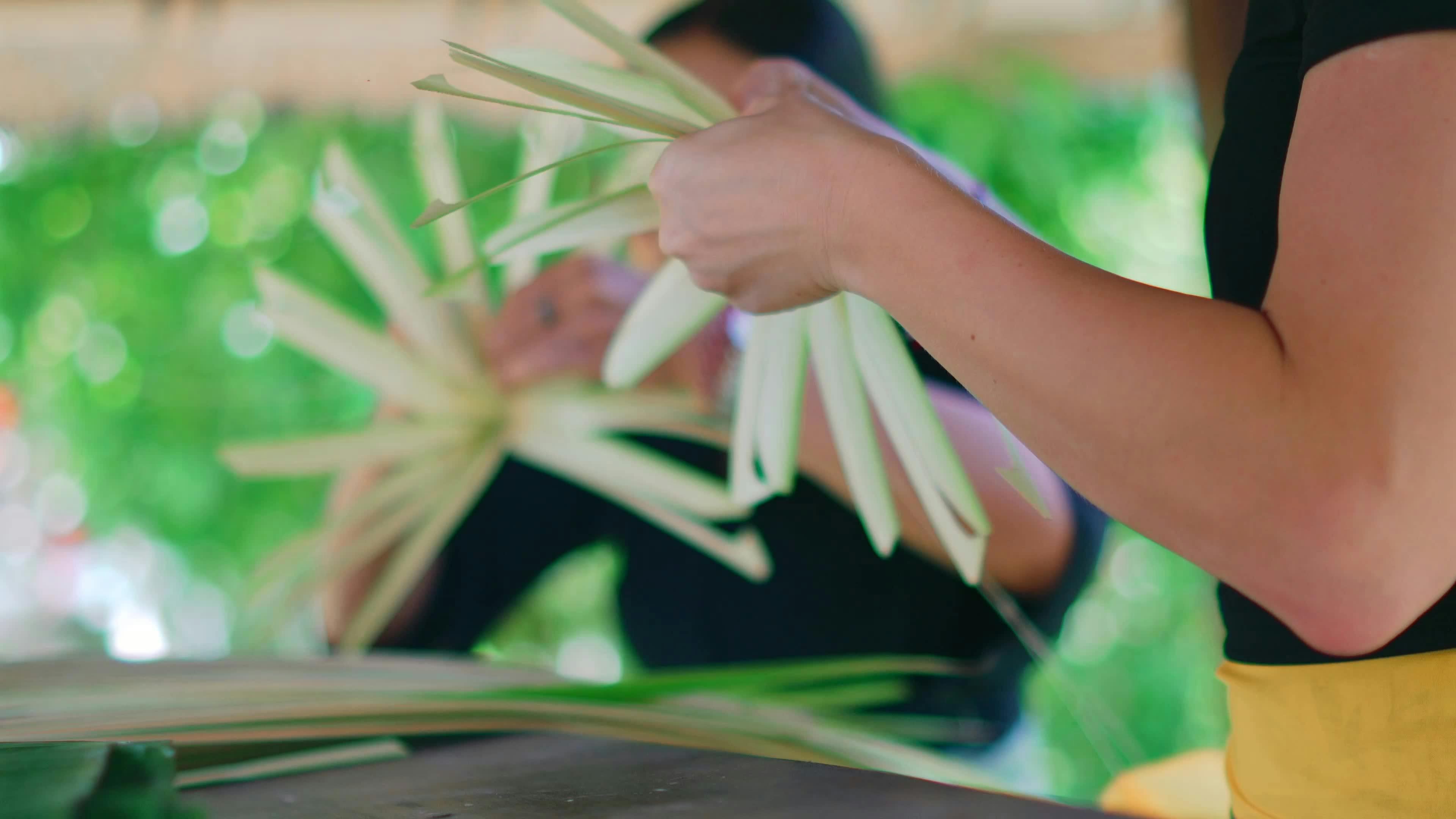 Artisan Weaving Palm Leaves in Outdoor Workshop Free Stock Video ...
