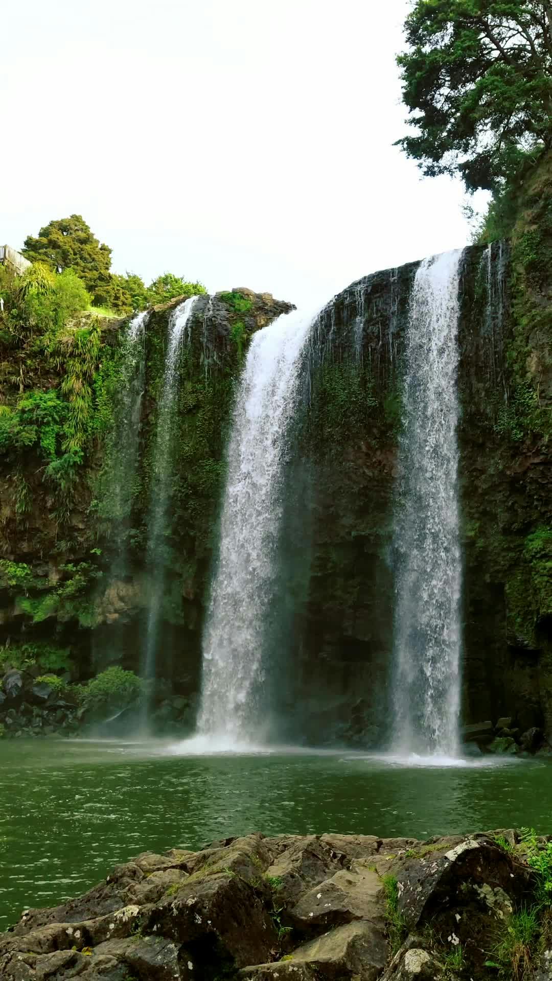 Waterfall Wilderness Videos, Download The BEST Free 4k Stock Video ...