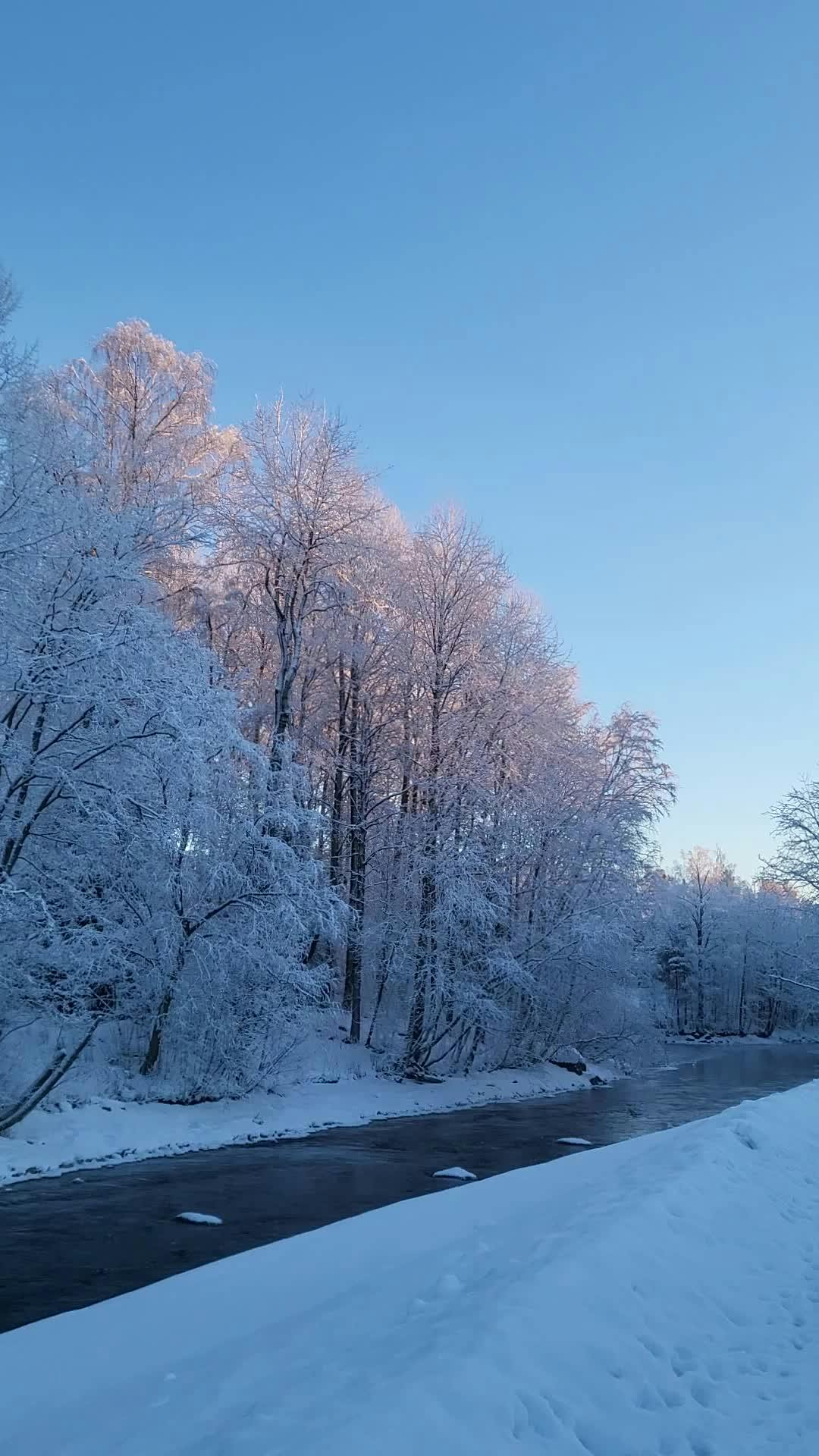 300,000+个最精彩的“B2c5不陈按不出不陈b2c5不陈按不出不陈按不出吧一天”视频 · 100%免费下载 · Pexels素材视频