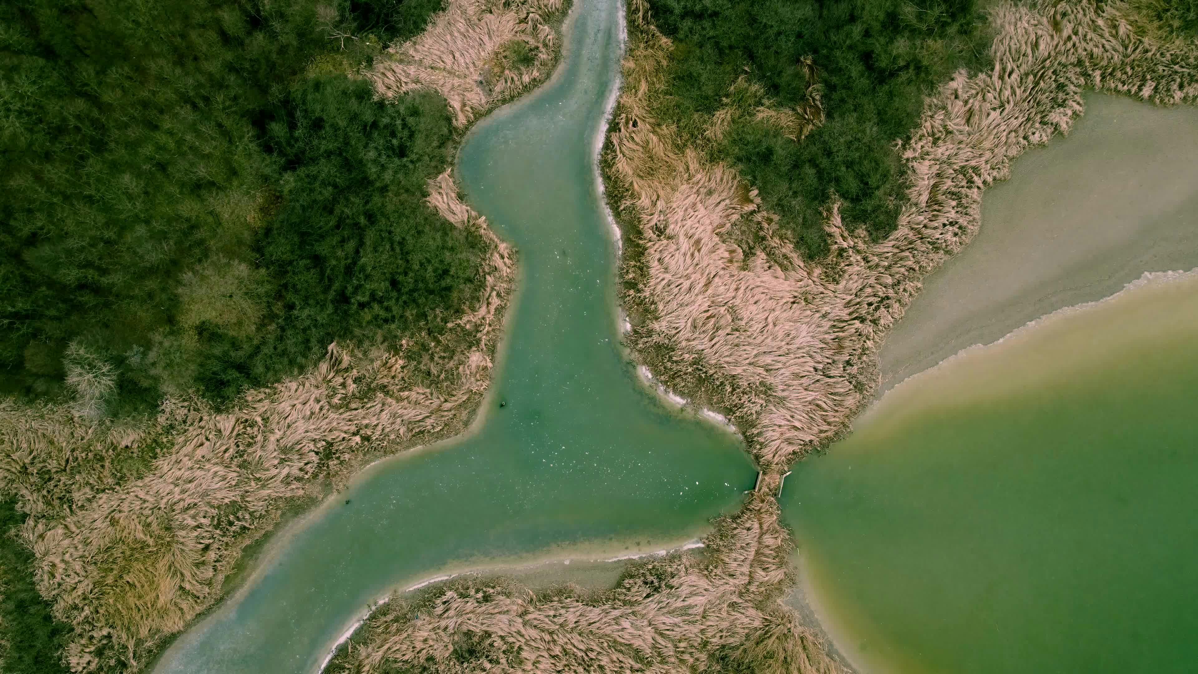 Environmental Overview Videos, Download The BEST Free 4k Stock Video ...