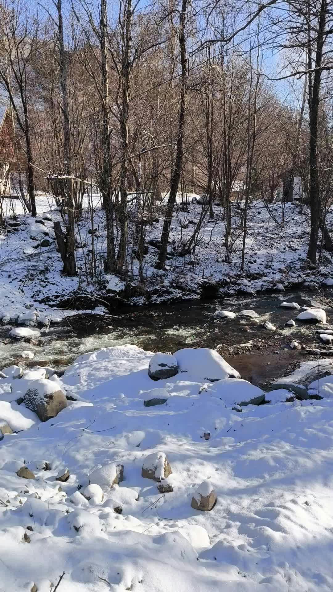 Serene Snow-Covered Forest Stream in Winter Free Stock Video Footage ...