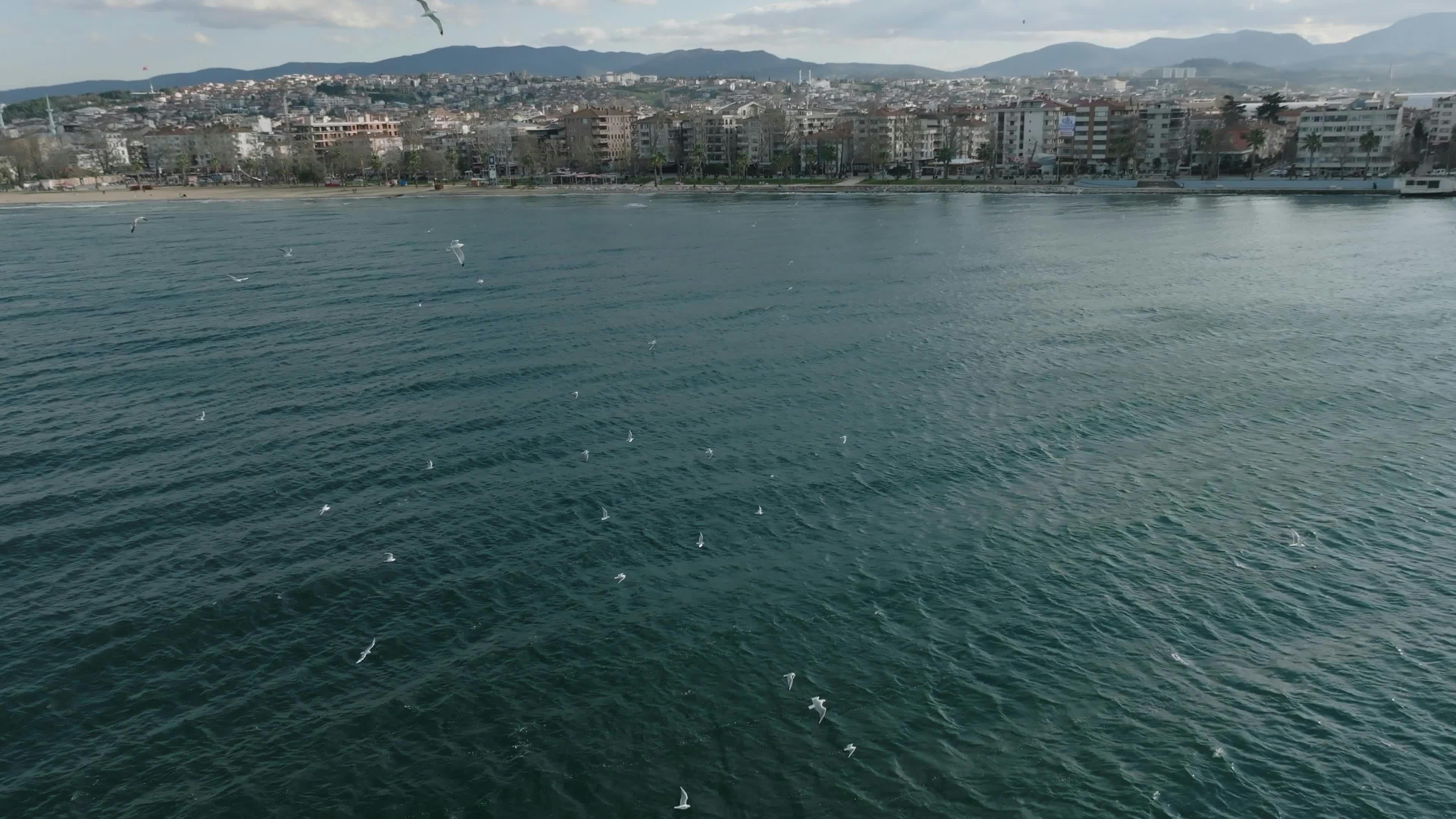 Ahmet Kurt - Fotografi