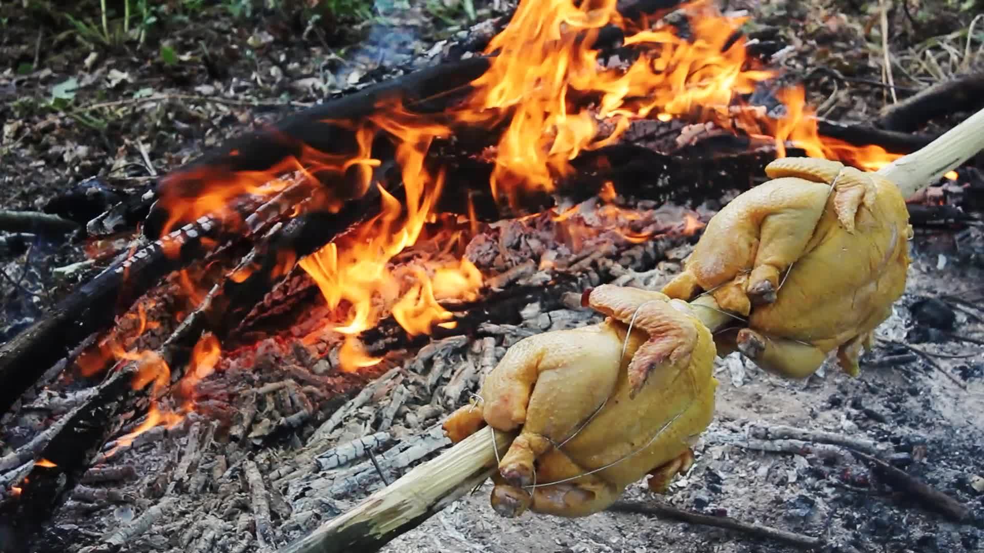 Roasting Chickens Over Open Fire Outdoors Free Stock Video Footage ...