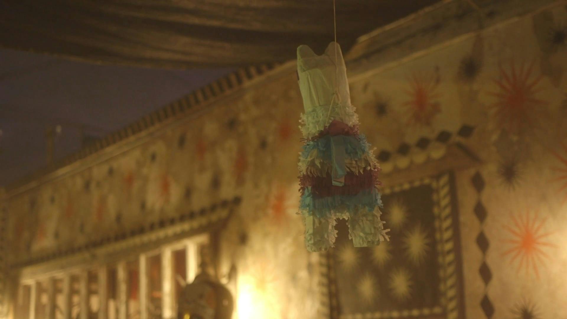 Paper Animal Videos, Download The BEST Free 4k Stock Video Footage ...