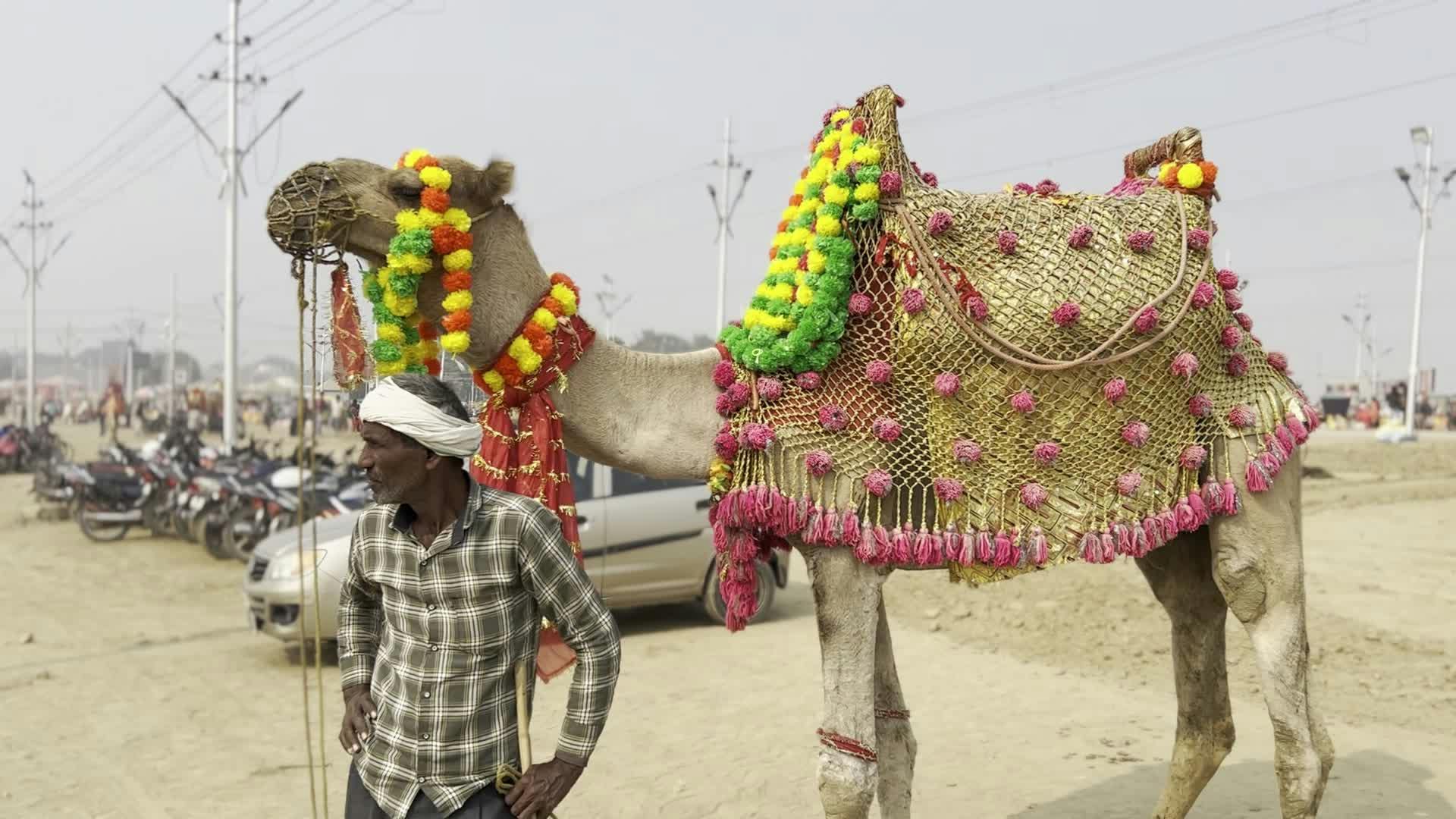 Baby Handler Videos, Download The BEST Free 4k Stock Video Footage ...