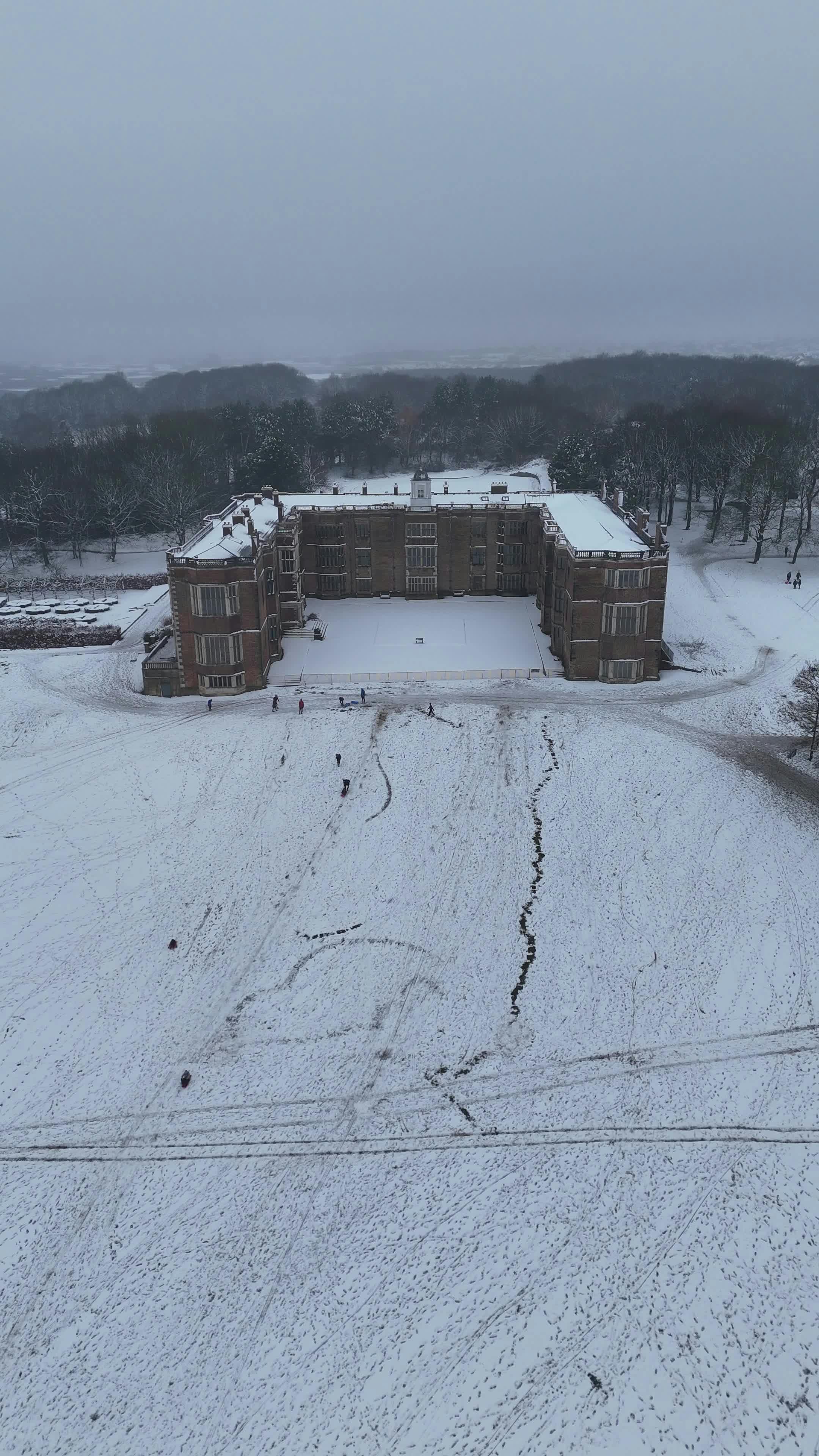 Distant Forest Background Videos, Download The BEST Free 4k Stock Video ...