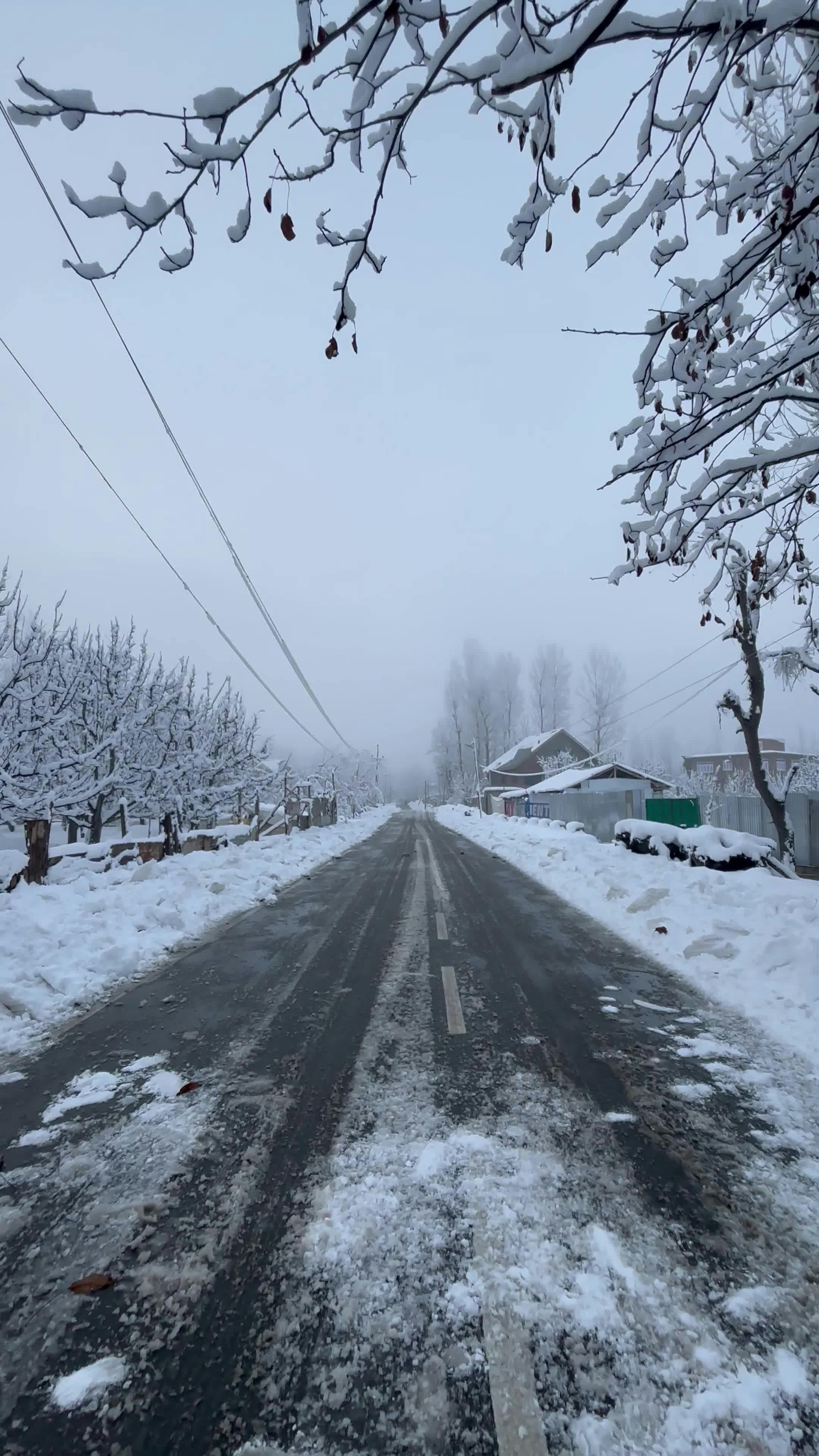 Year On Year Videos, Download The BEST Free 4k Stock Video Footage ...