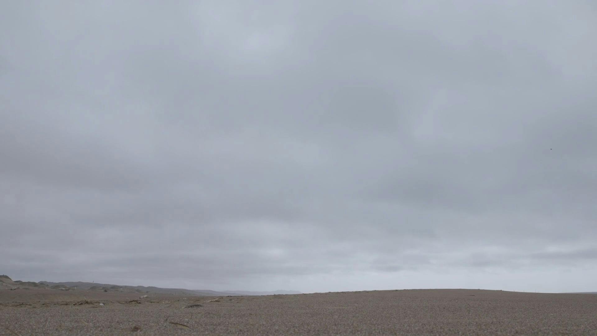 Raw Captures Videos, Download The BEST Free 4k Stock Video Footage ...