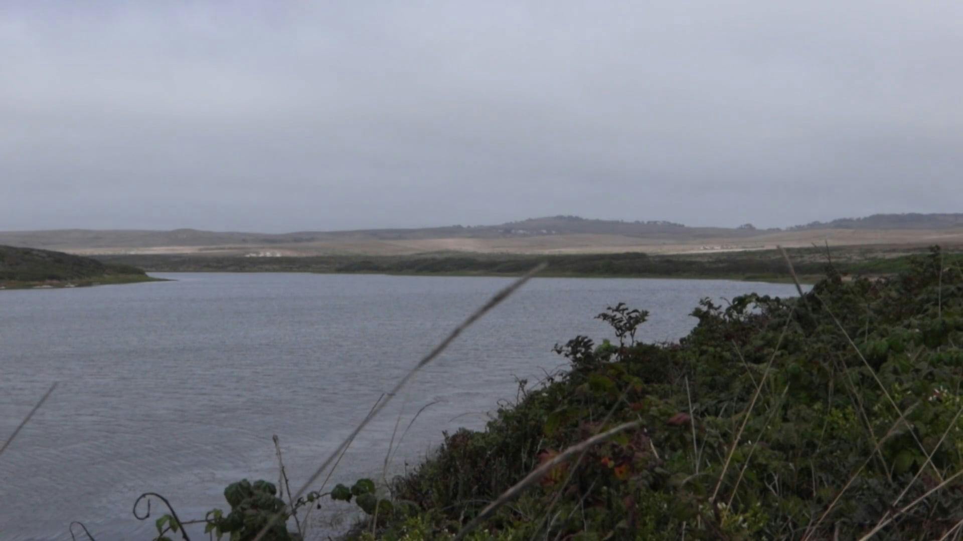 A Beautiful Outdoor Scenery In A Time lapse Video Free Stock Video ...