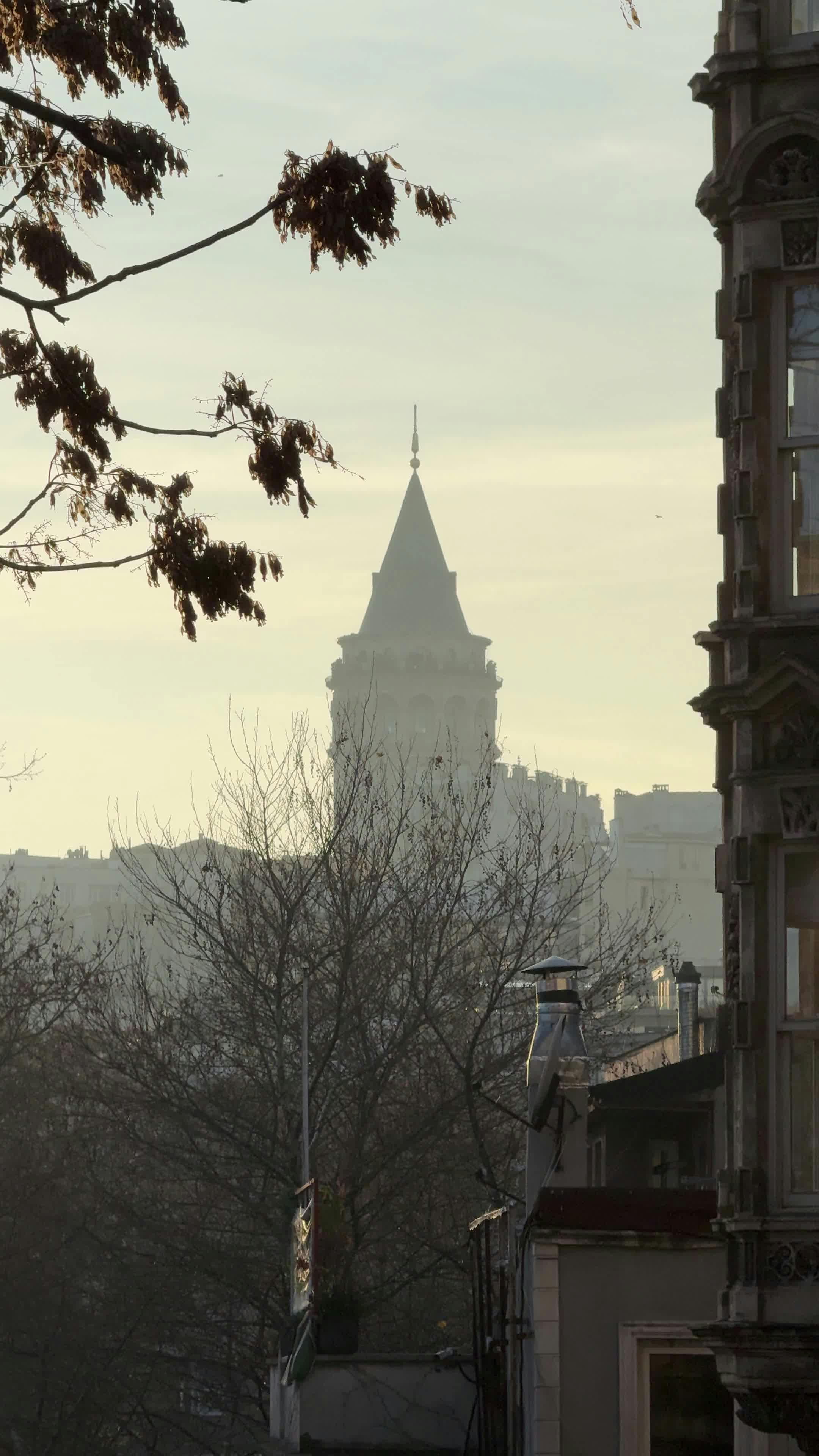 Yt Icon Videos, Download The BEST Free 4k Stock Video Footage & Yt Icon ...