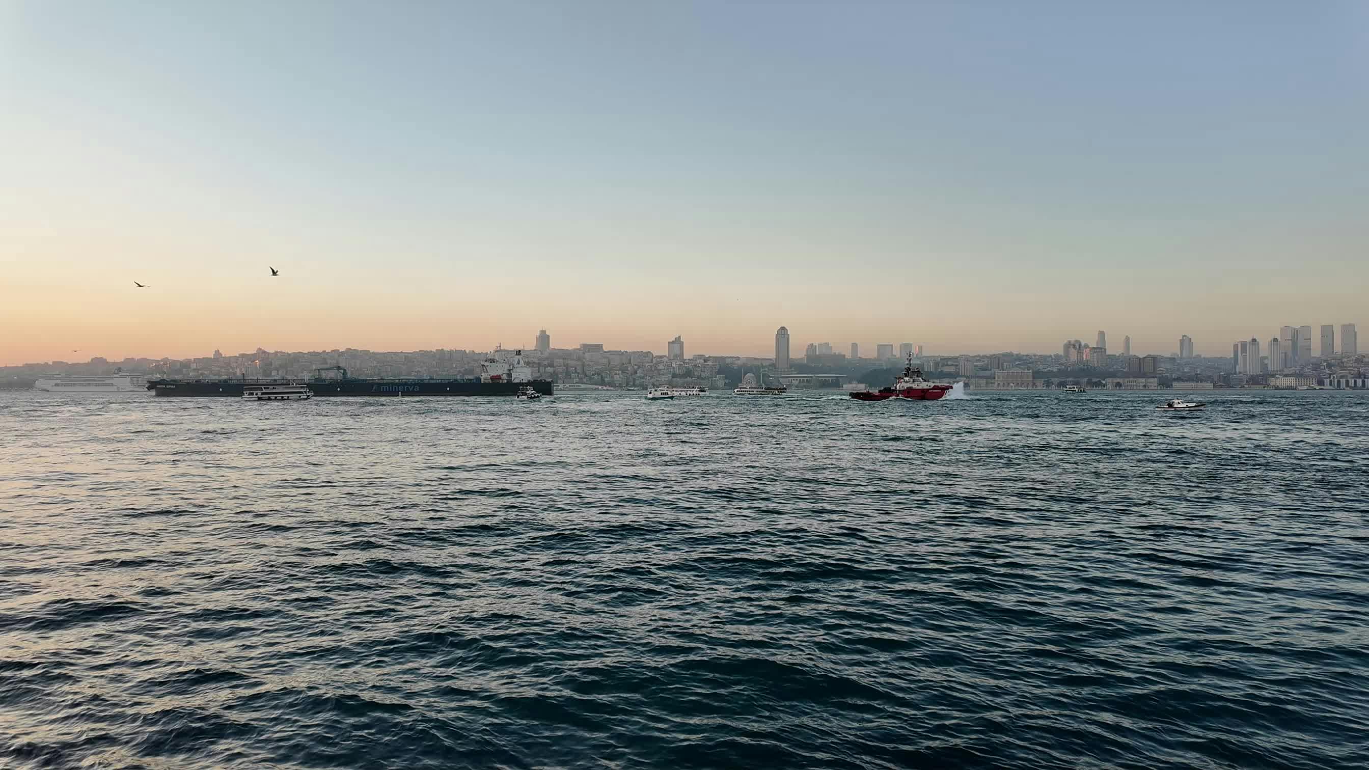 Pantone’s 2025 Videos, Download The BEST Free 4k Stock Video Footage ...