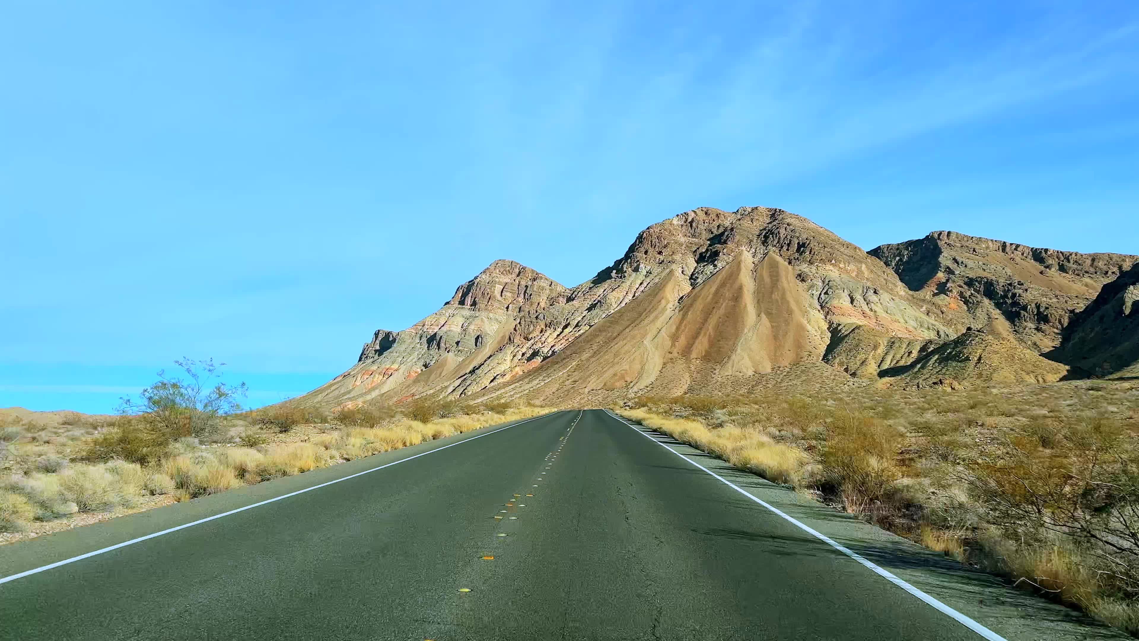 Driving Wild Videos, Download The BEST Free 4k Stock Video Footage ...