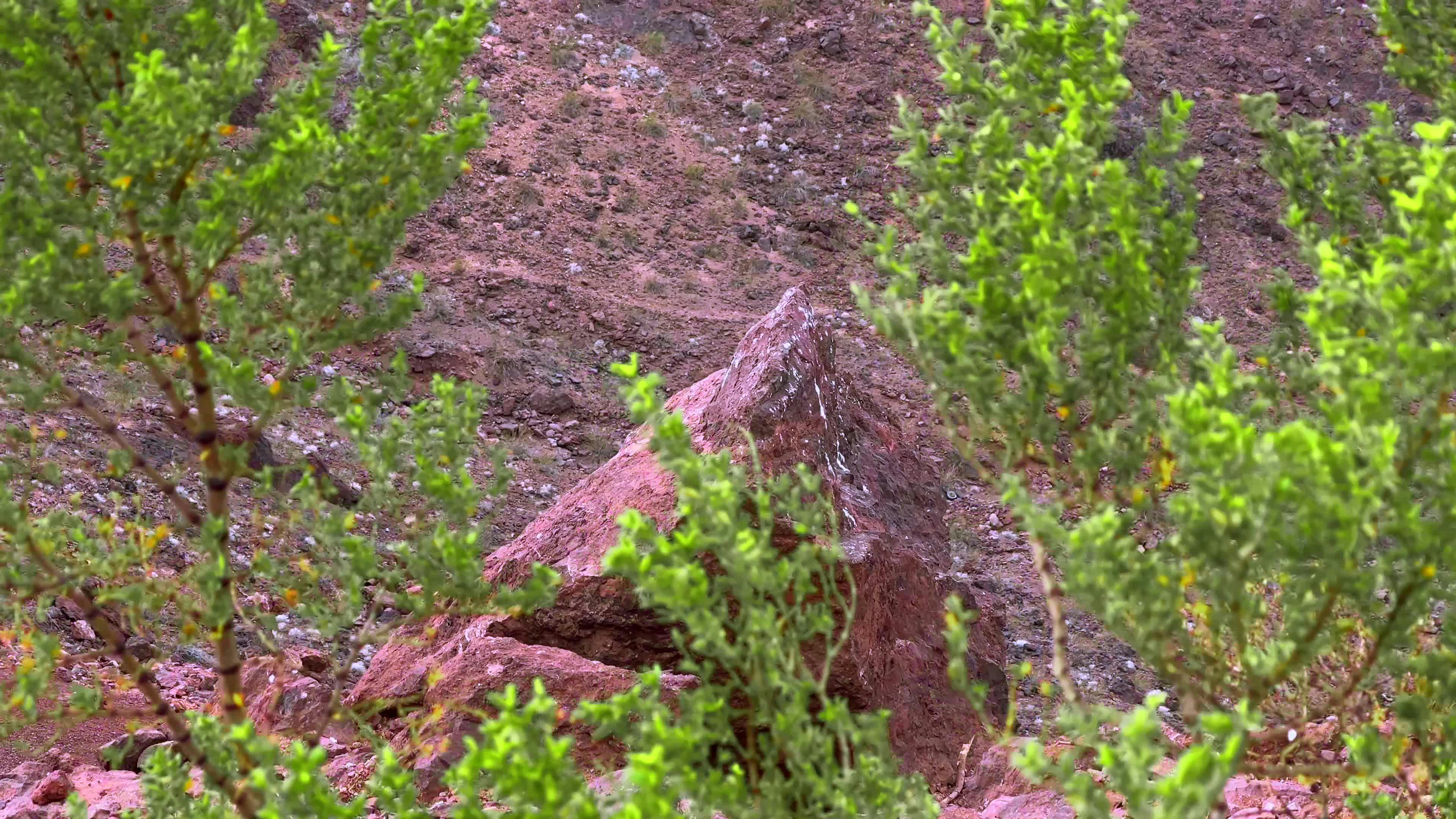 Solid Australian Videos, Download The BEST Free 4k Stock Video Footage ...