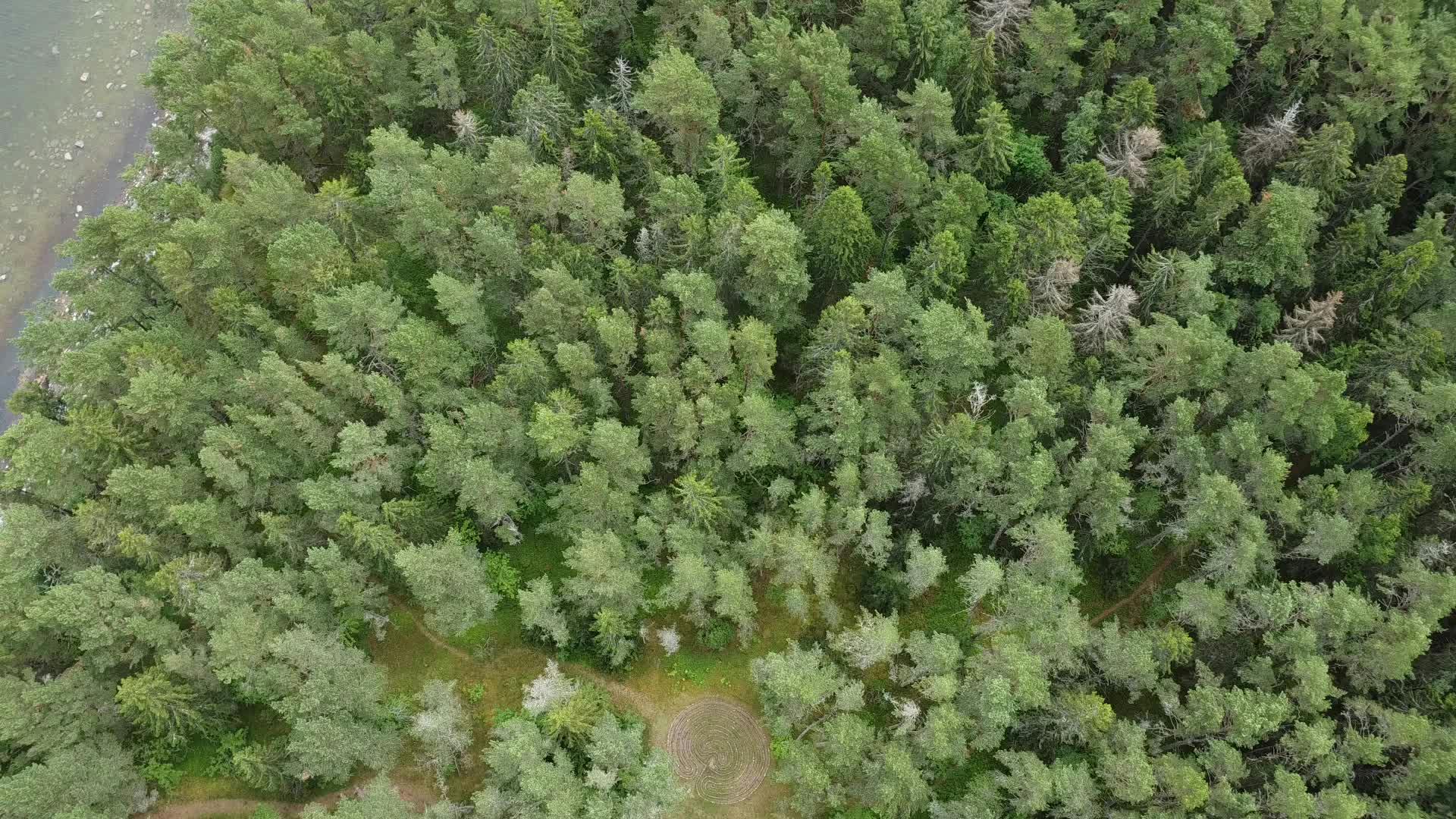 Aerial View of Mystical Forest Circle in Estonia Free Stock Video ...