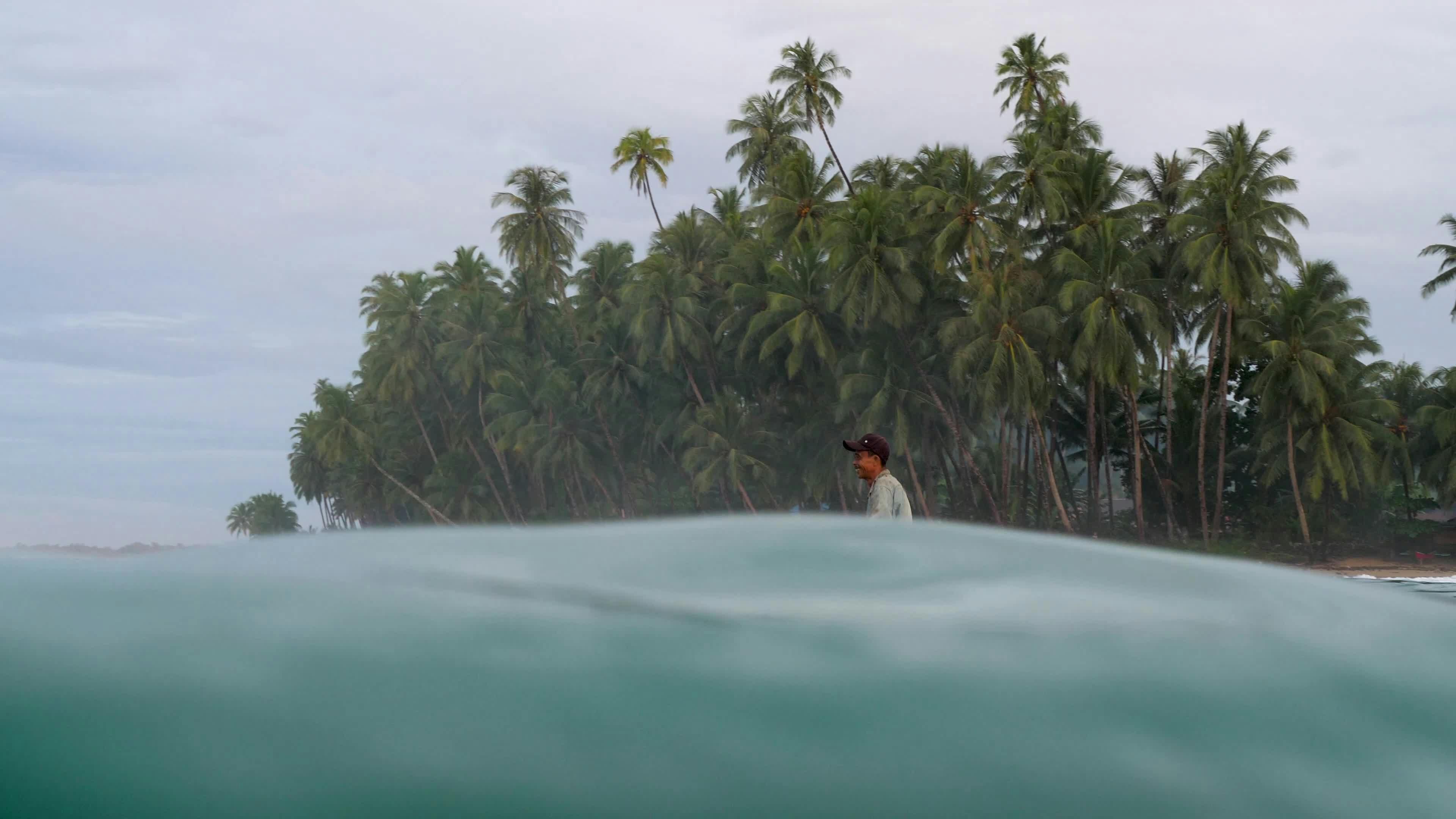 Tropical Fisherman Paddles Canoe by Palm Trees Free Stock Video Footage ...