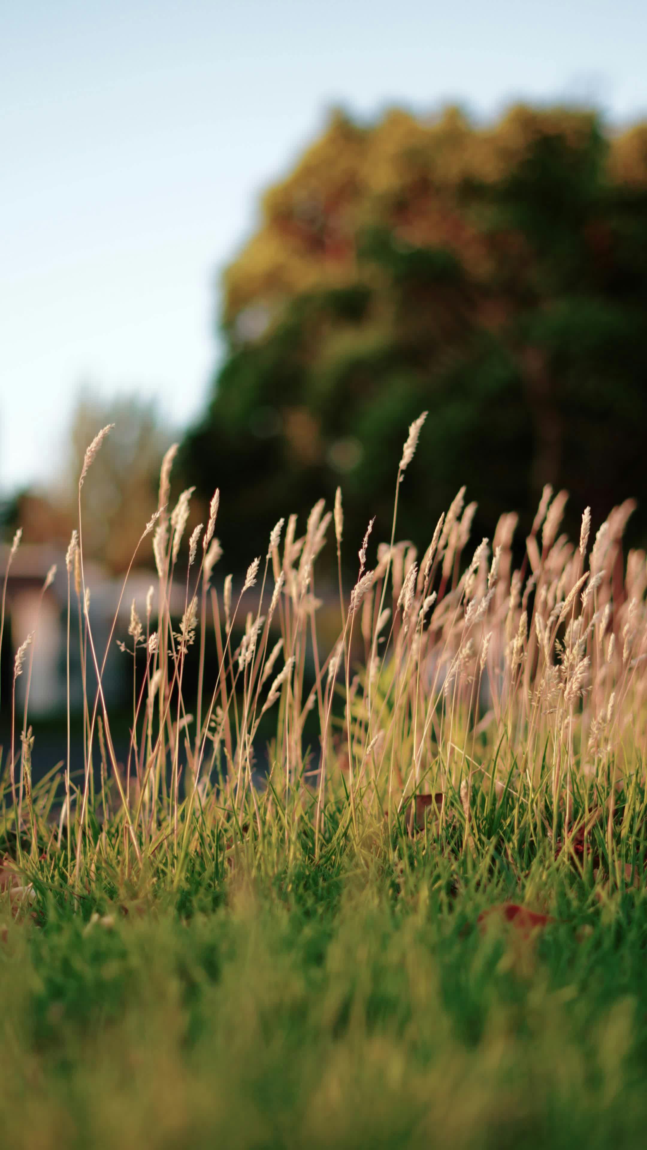 Sony Slog 3 Footage Videos, Download The BEST Free 4k Stock Video ...