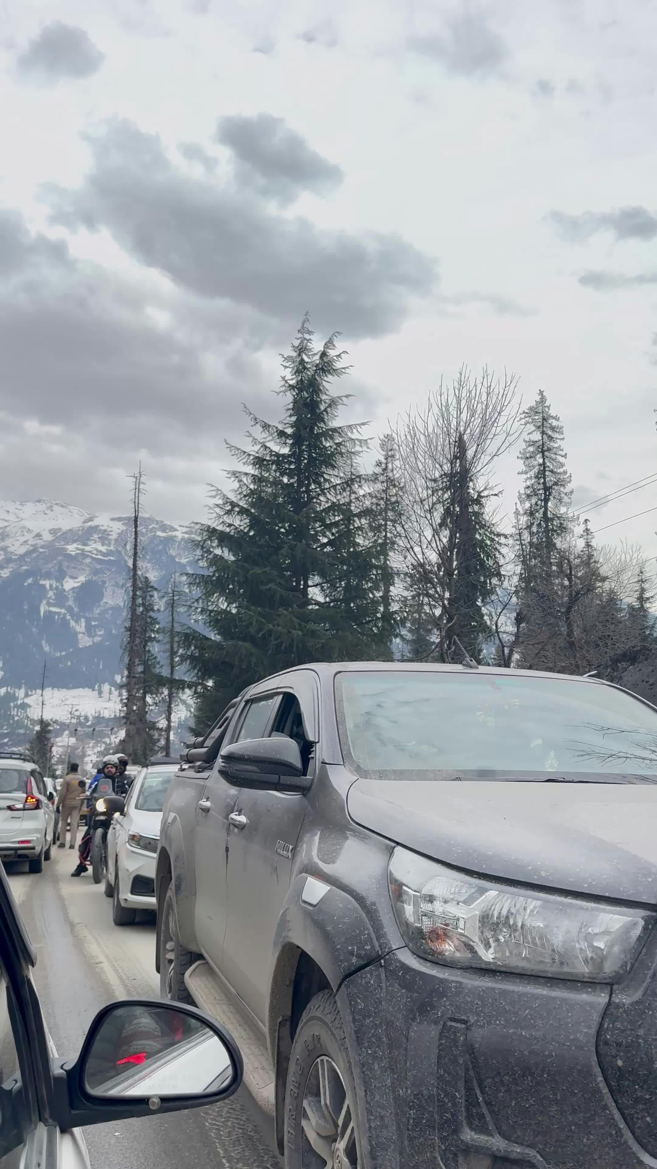 Mountain With A Tree Videos, Download The BEST Free 4k Stock Video ...