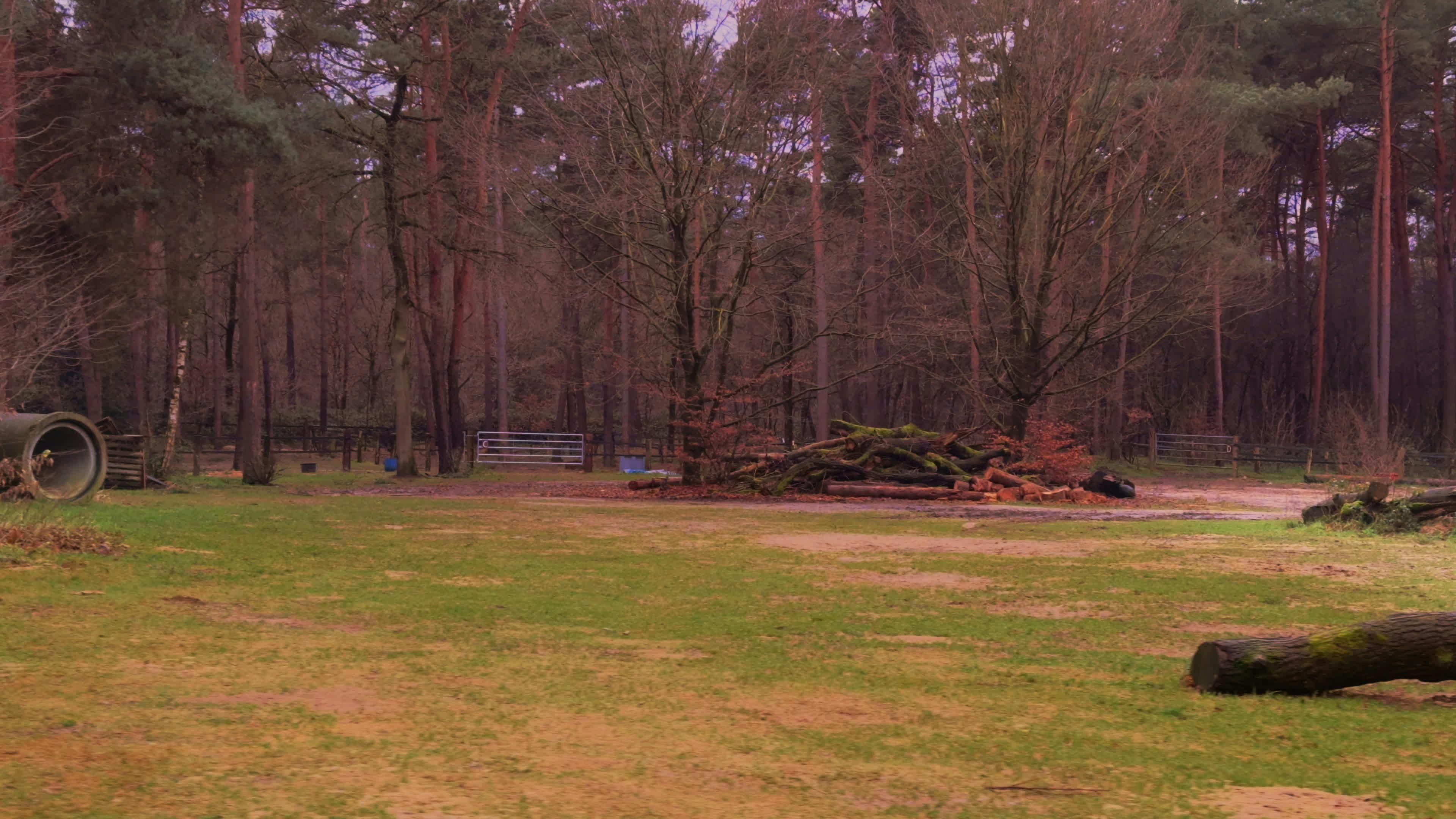 Log Tanzania Videos, Download The BEST Free 4k Stock Video Footage ...